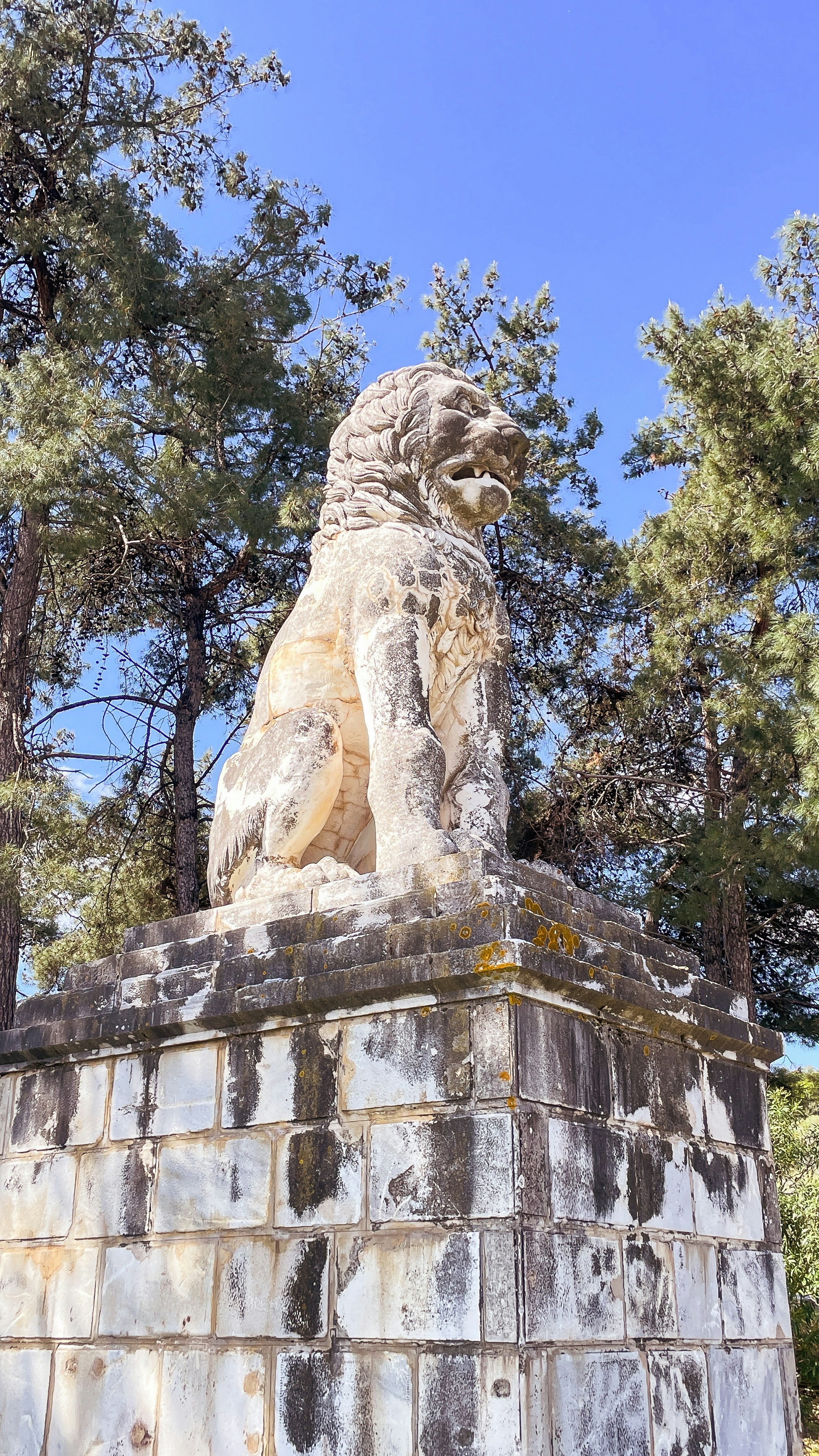 Stone Sentinel: A Weathered Lion Reaching Toward the Midnight Sky