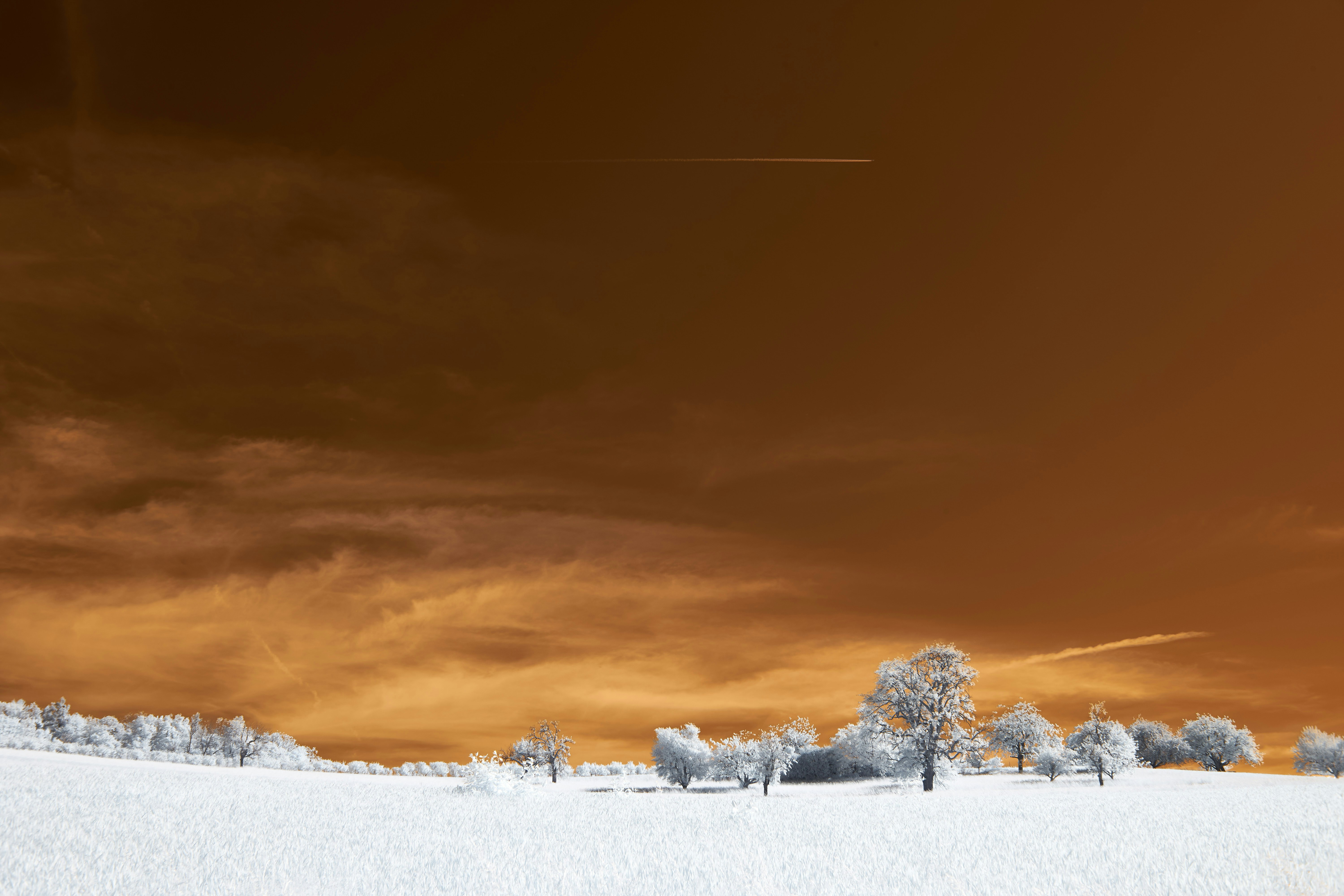 Silent Horizon under a Warm Ember Sky
