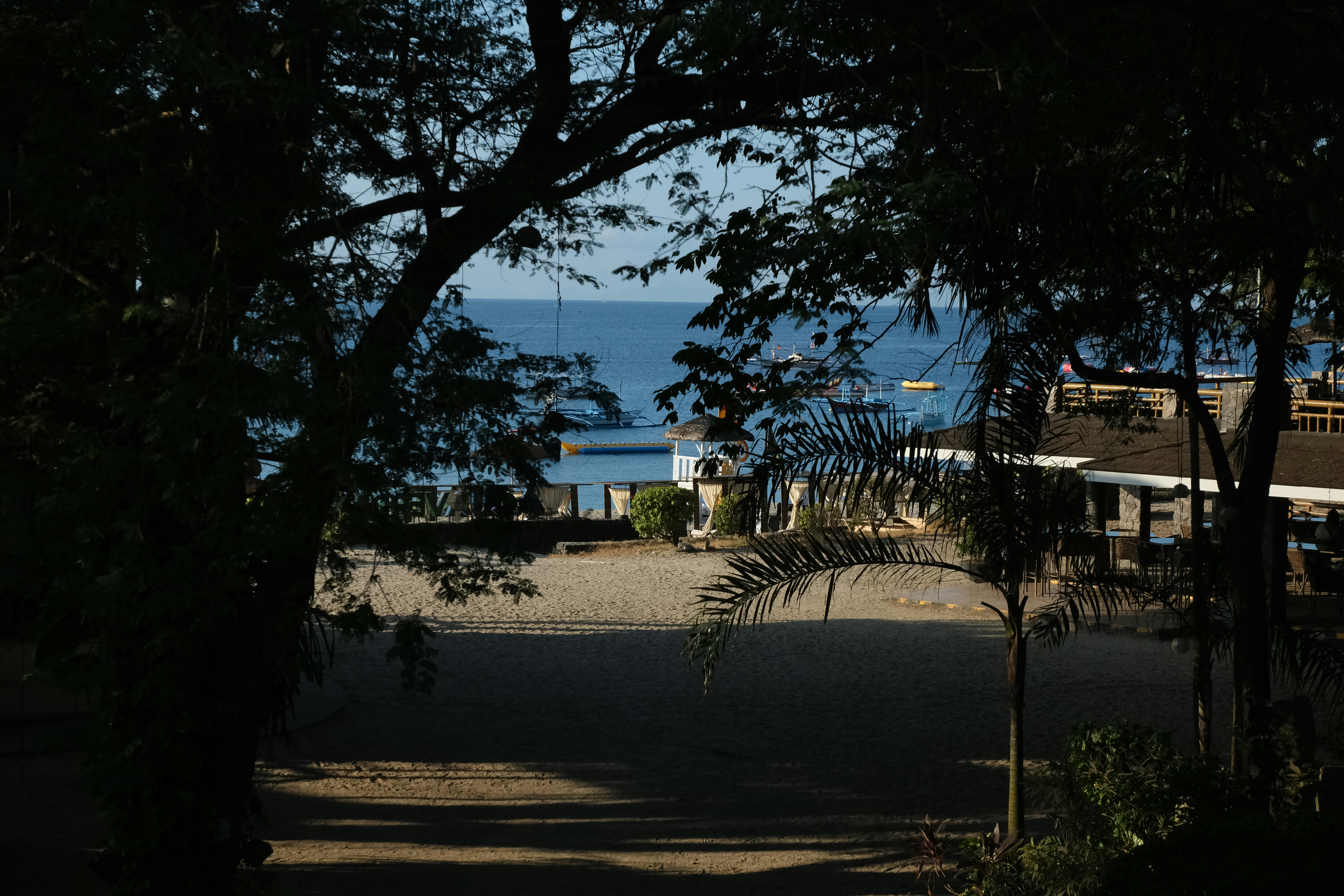 Hidden Beachfront Beyond the Arching Trees