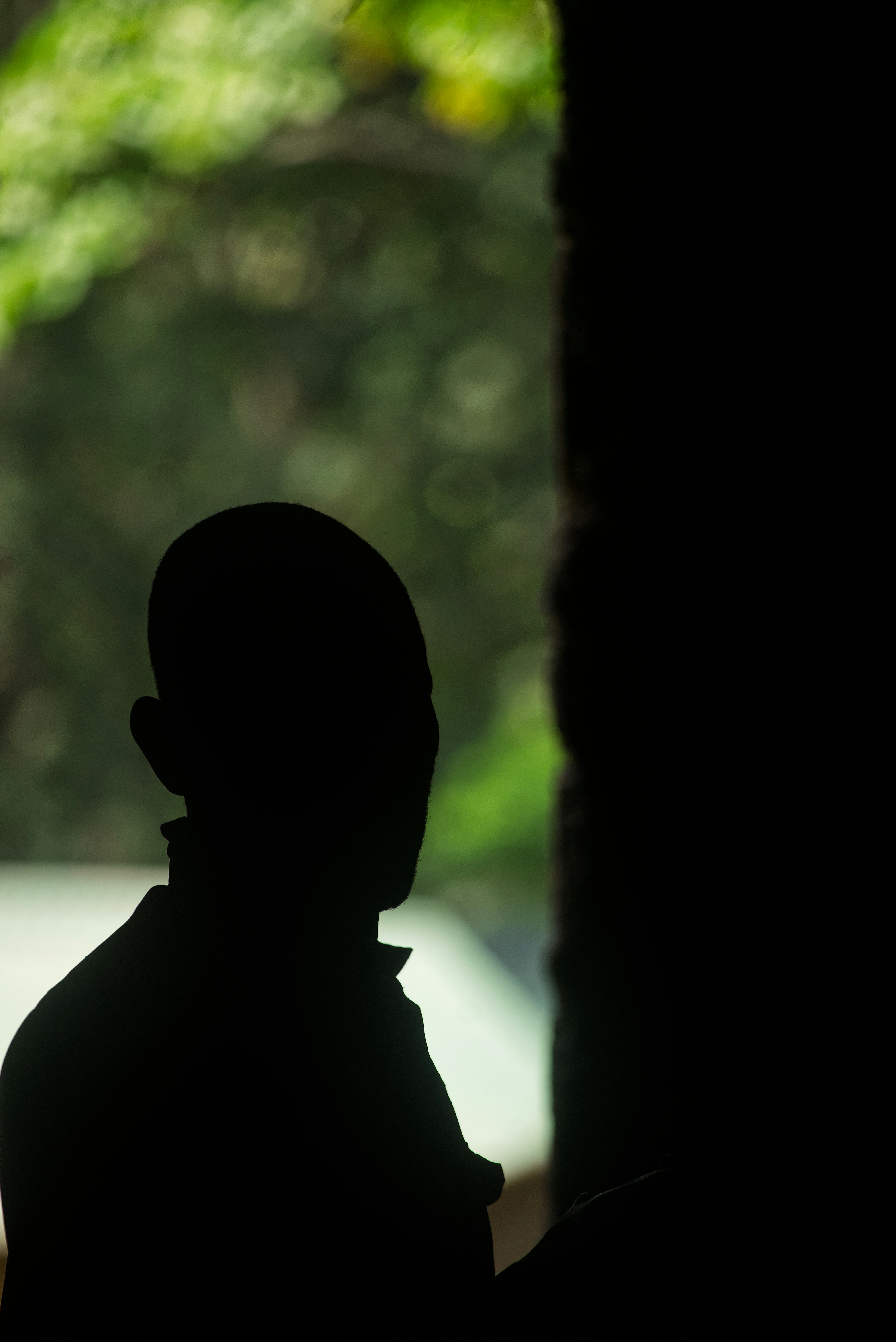 Silhouette in a Shadowed Aperture