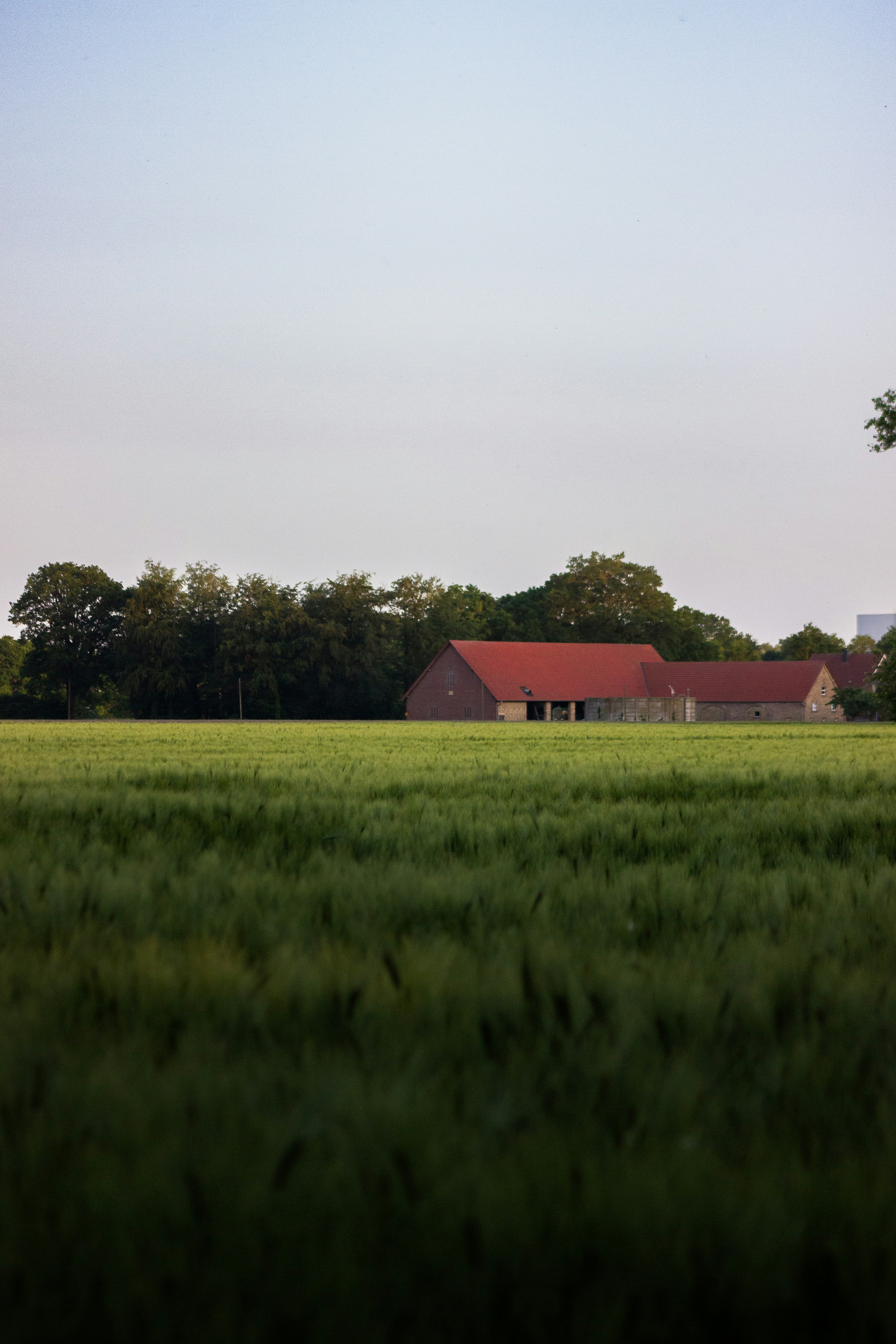 Rustic Farmstead on the Horizon at Quiet Dusk