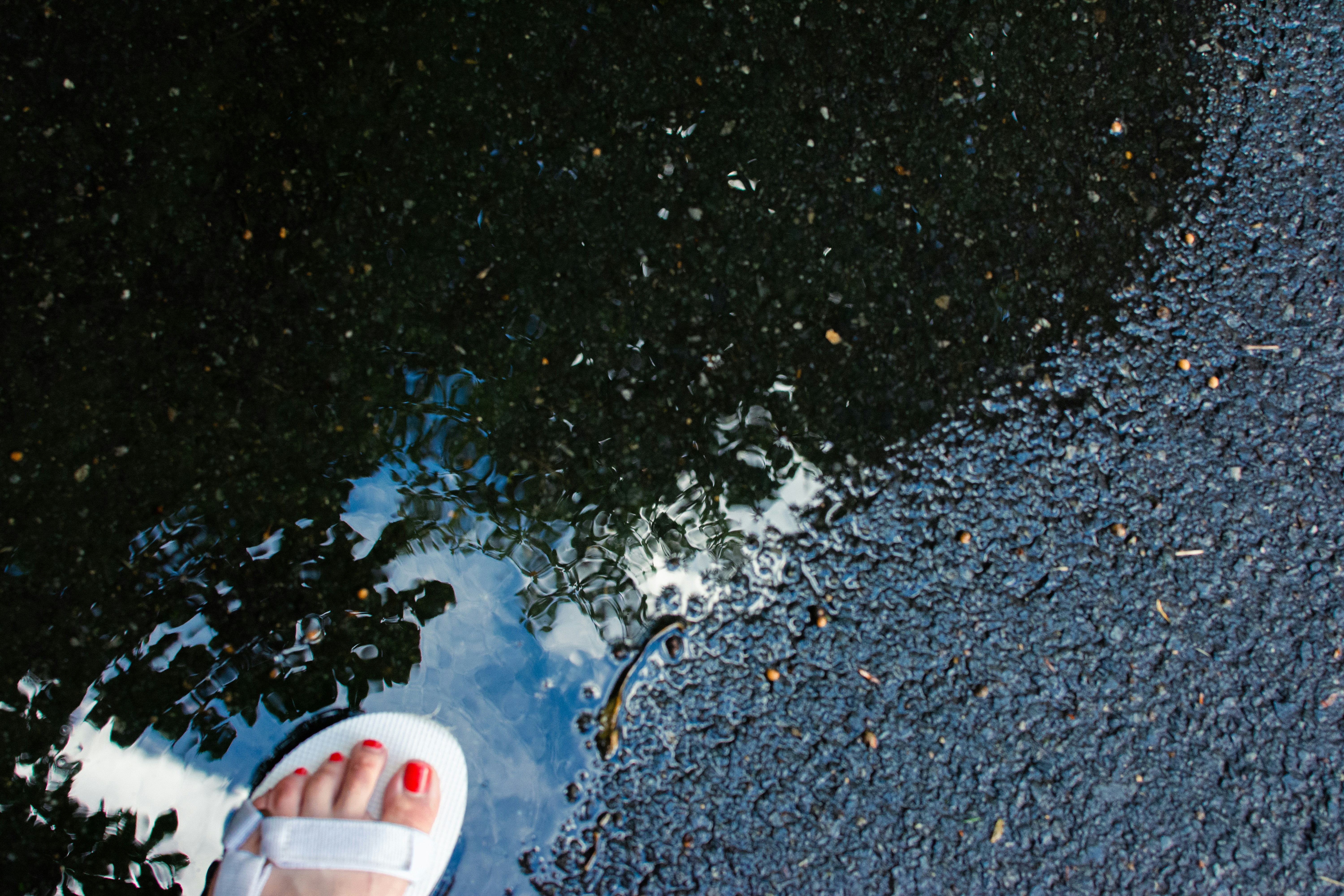 Footstep in a Puddle: A Little Pathway to Summer