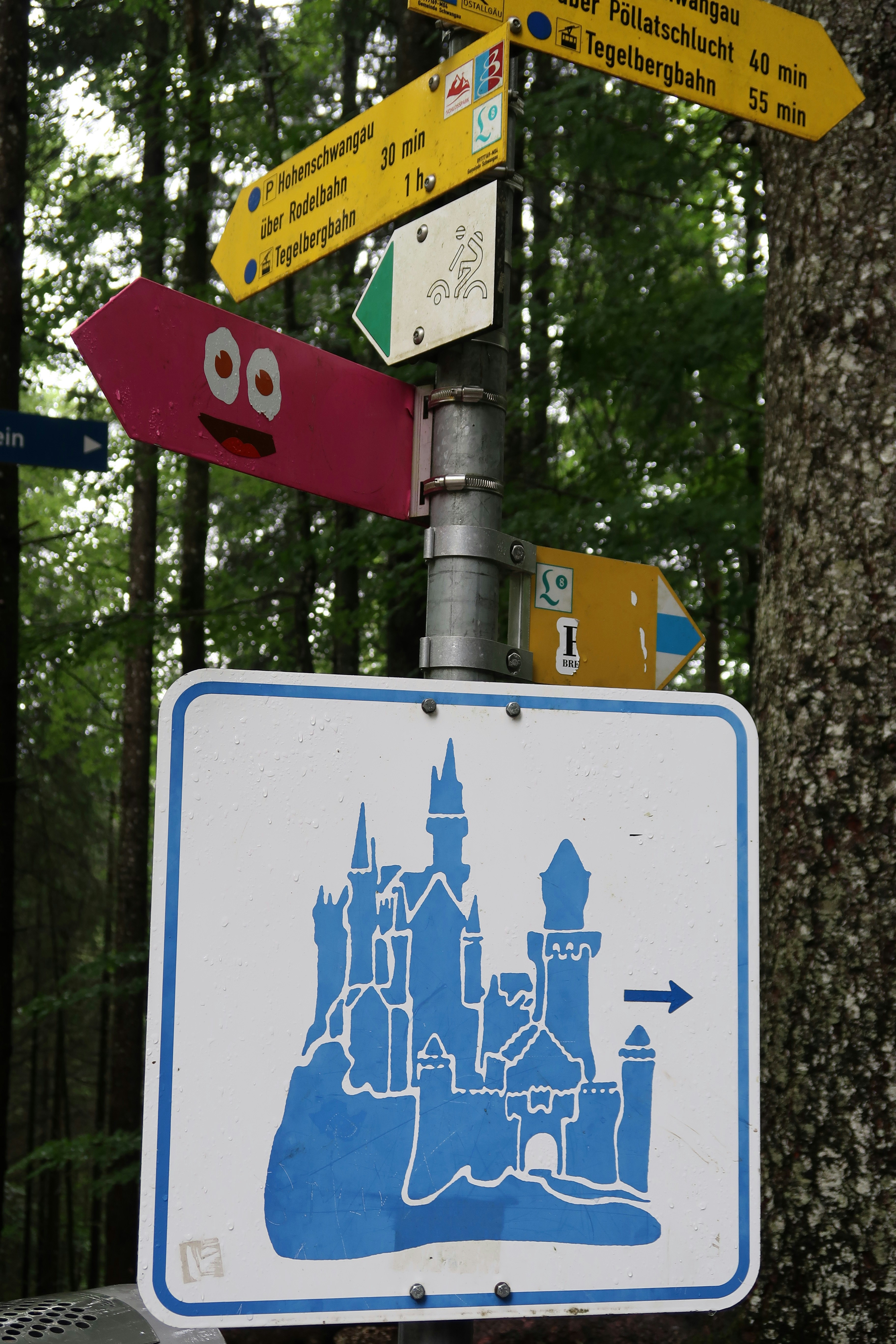 Signpost Forest: A Quiet Junction Among Tall Trees