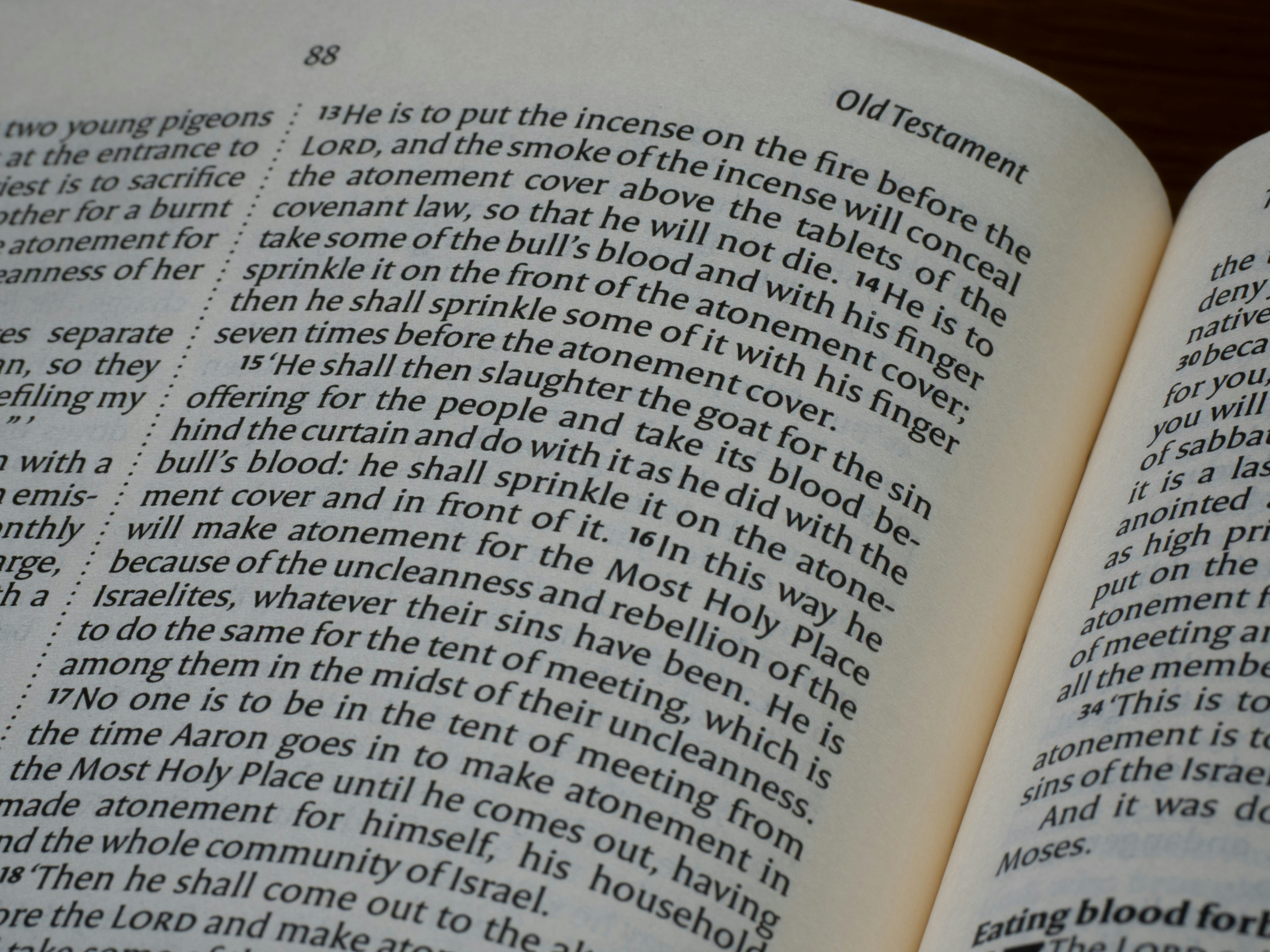Whispered Scripture: A Close-Up of Ink and Page Edges