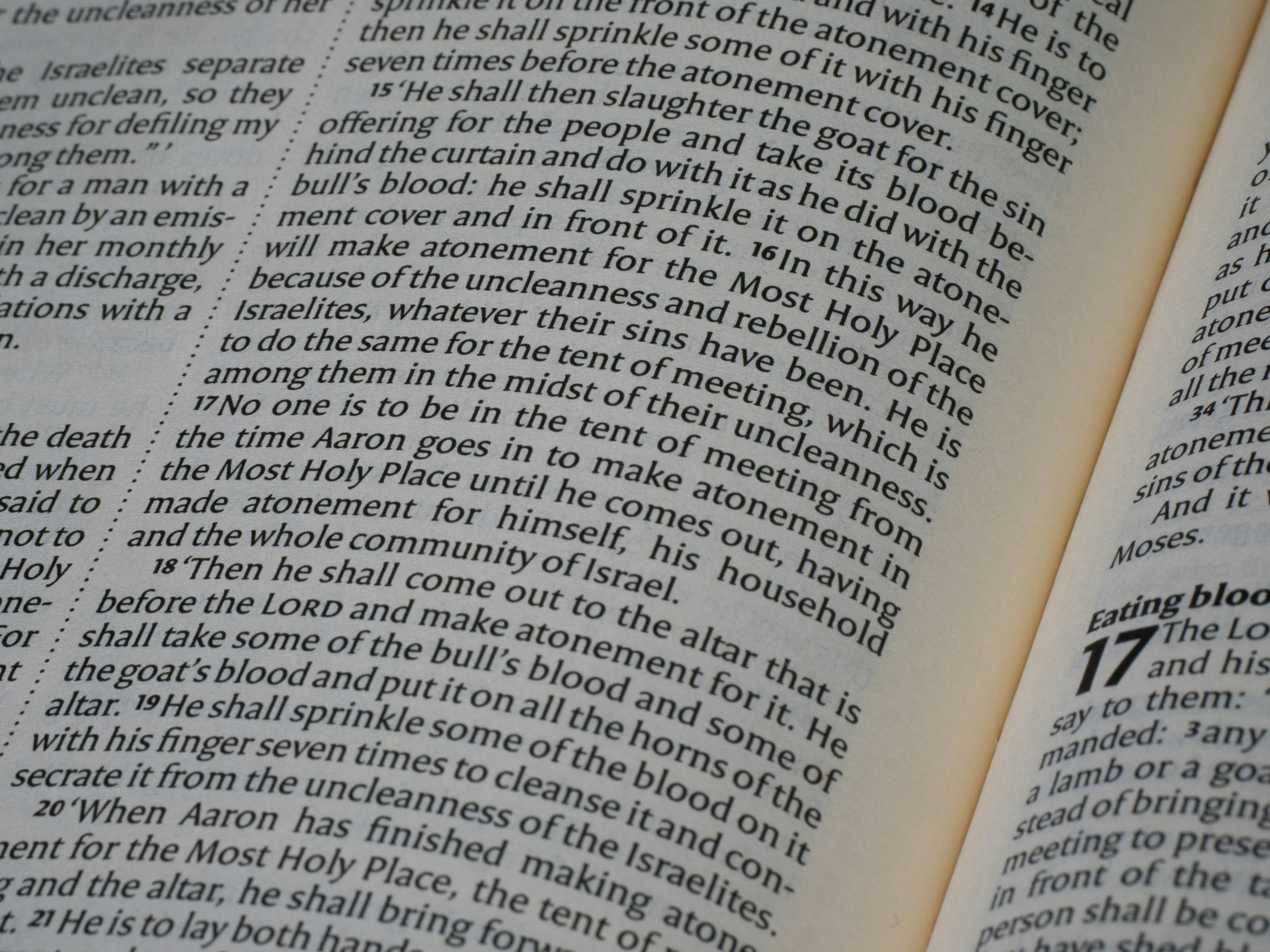 Marked Page: a close study of serif typography and text column