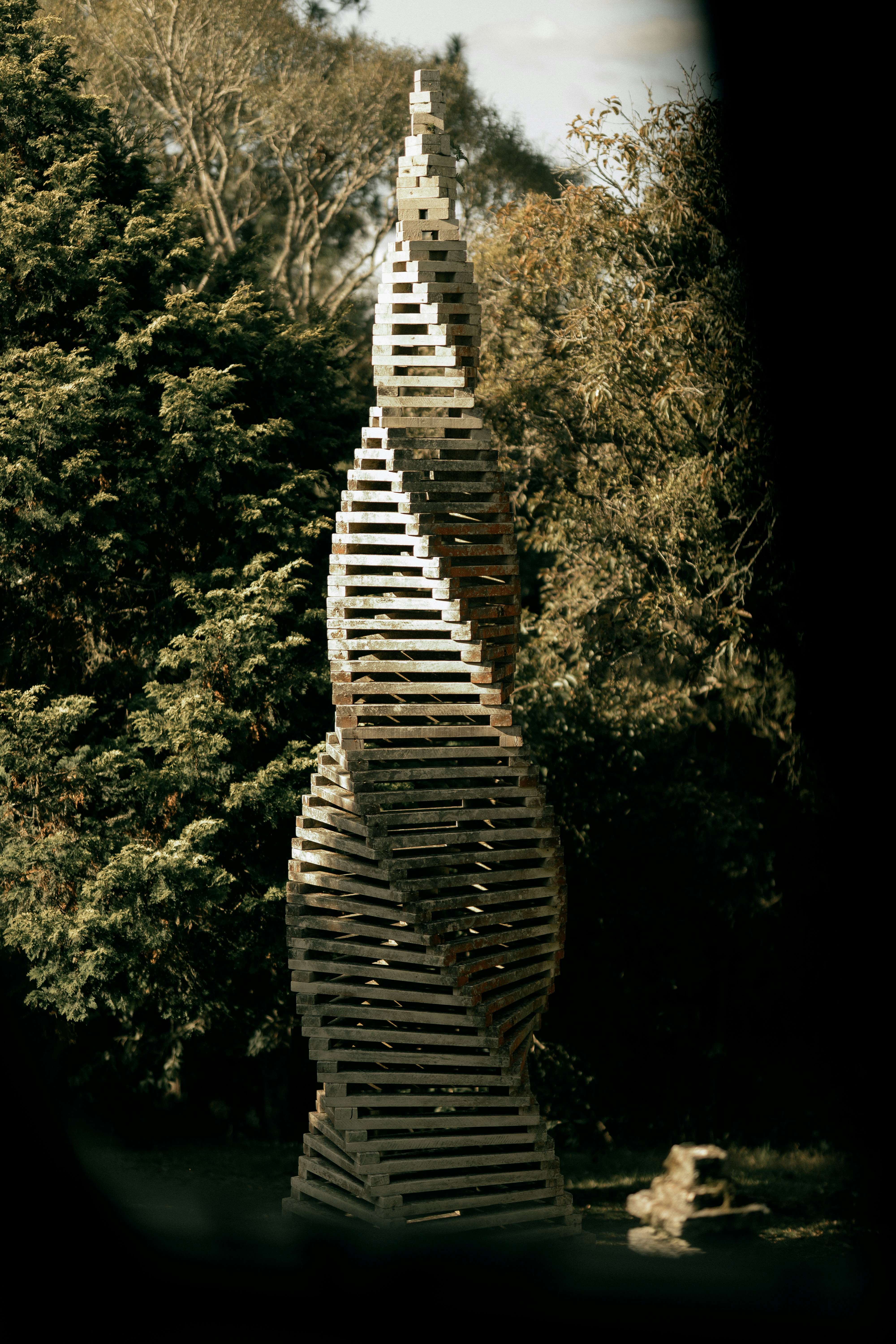 Torsion of timber: a spiraling sculpture rising from shadowed woodland