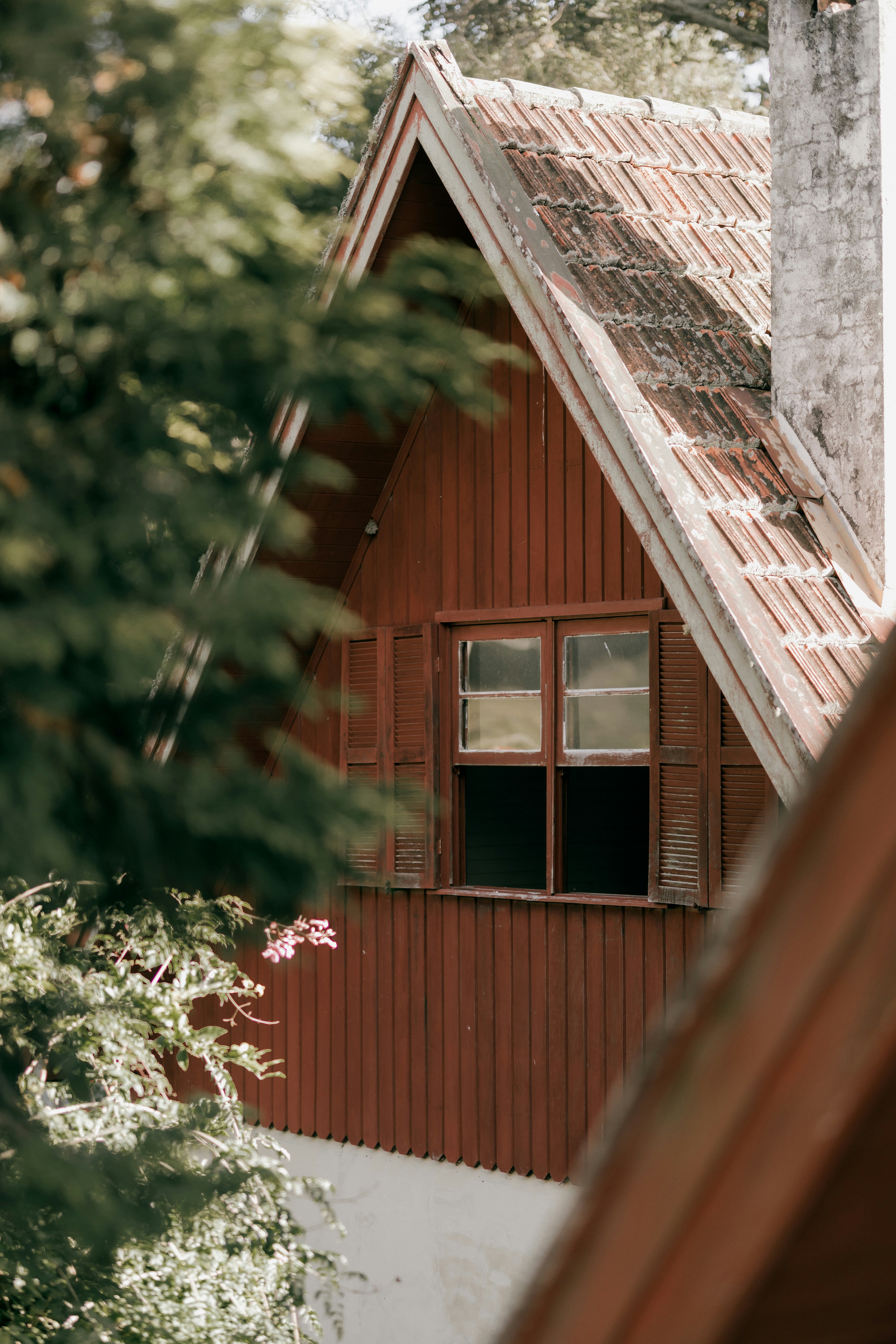 Red A-Frame Quiet: A Rustic Window Amid Pine and Tile
