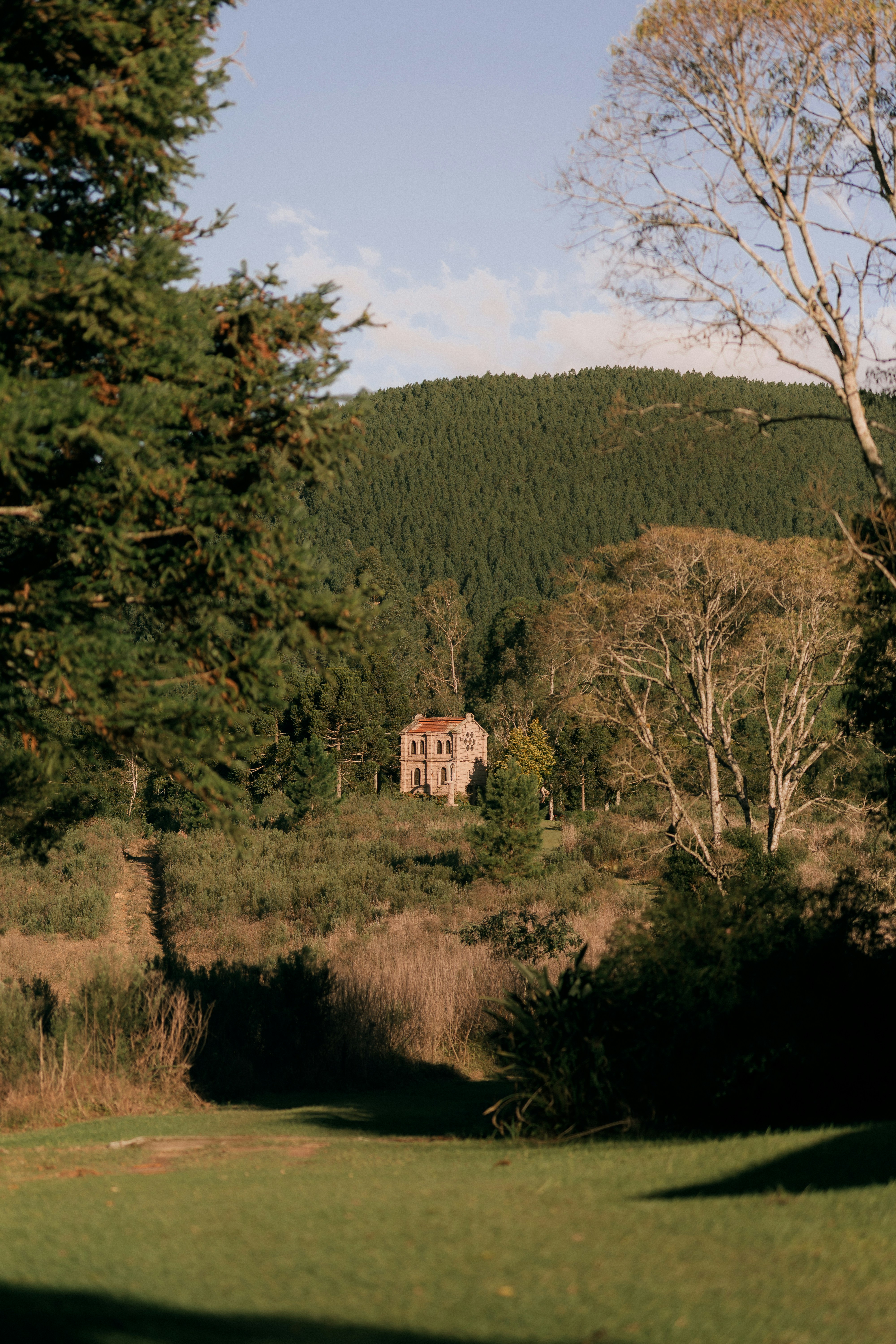 Hidden Abbey Among Quiet Pines