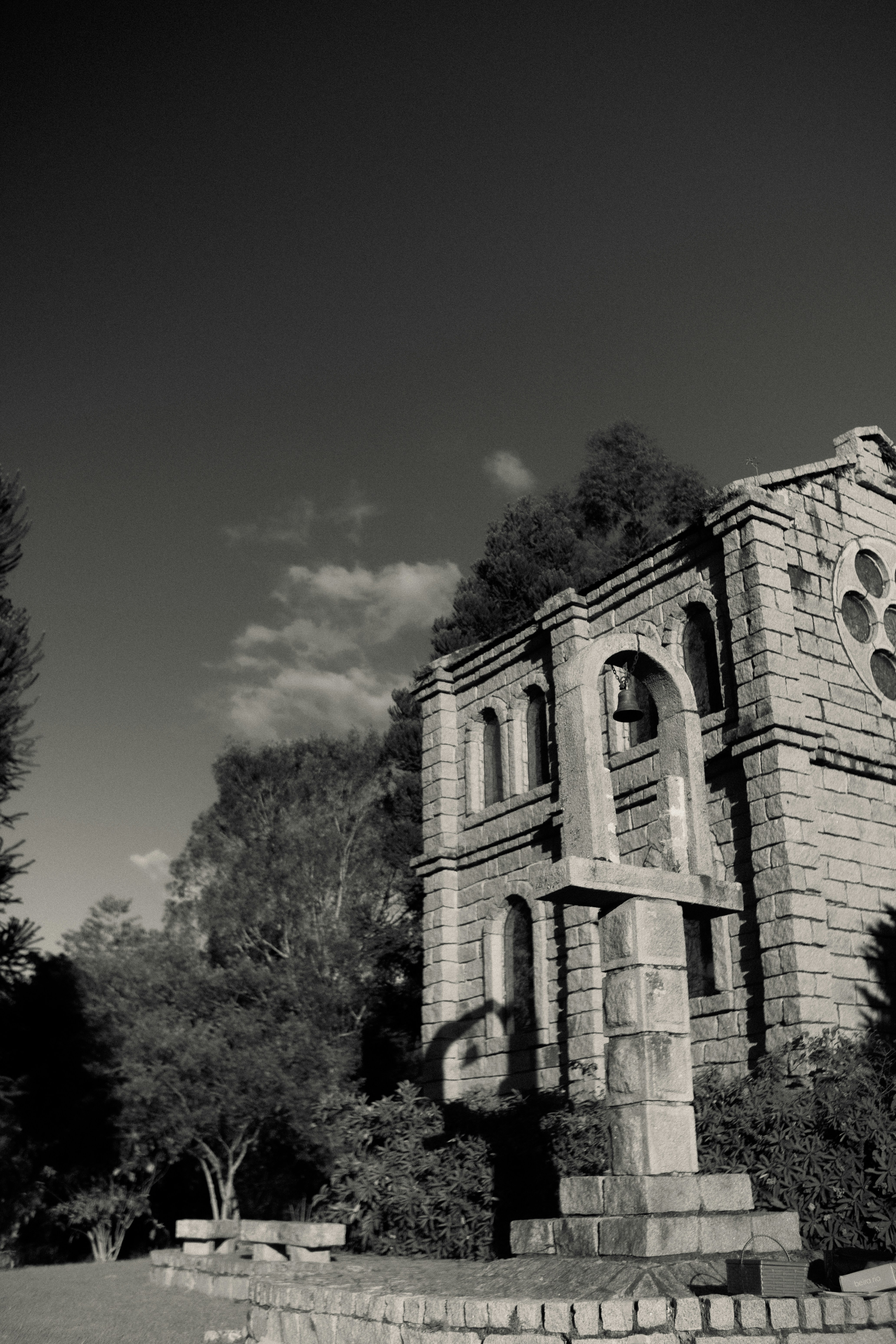Ruins with Columns: A Quiet Monolith Amid Trees