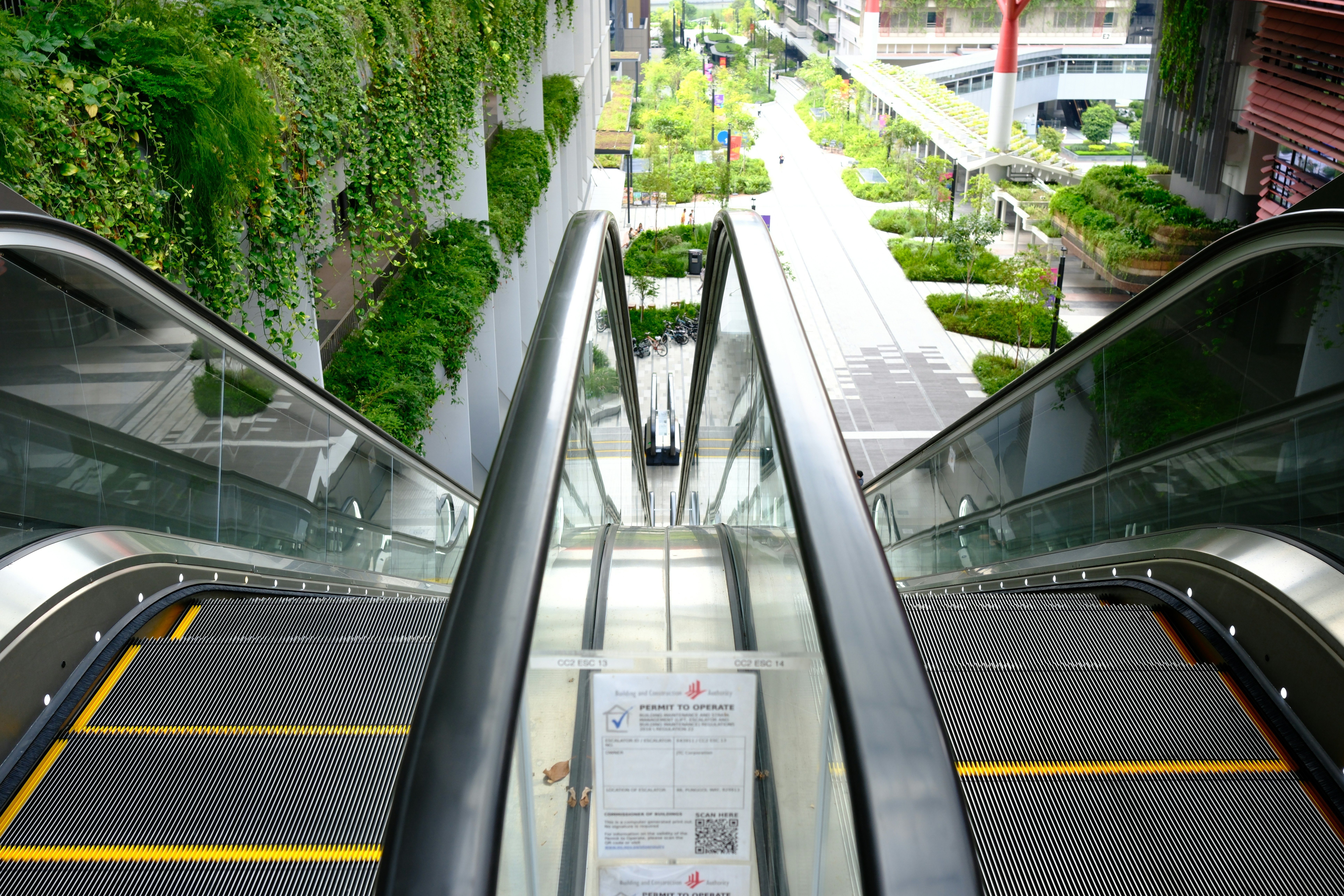 Escalator Ascent: Symmetry and Greenery Framing the Urban Descent