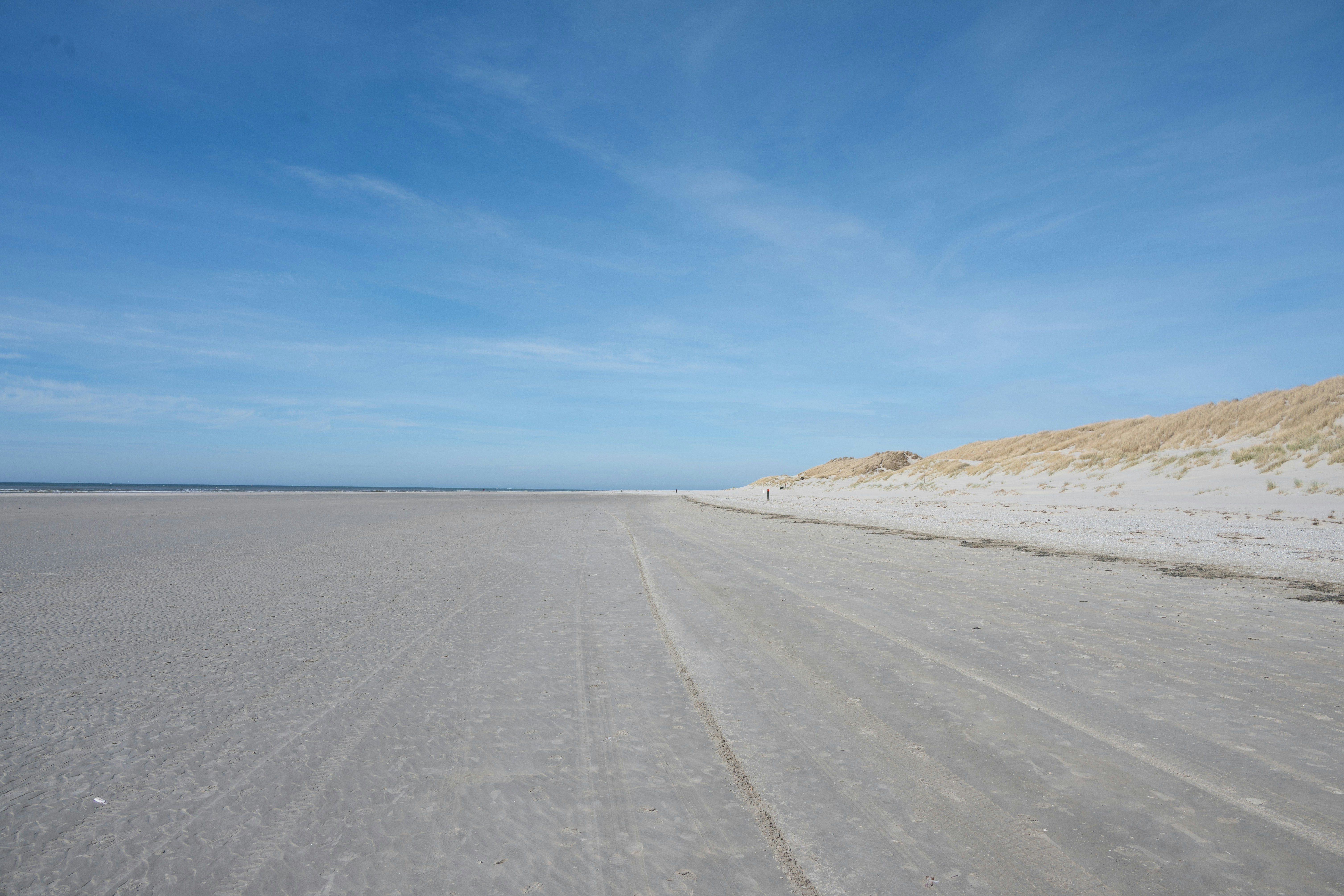 Dune Horizon: A Quiet Sea of Sand Beneath a Clear Sky