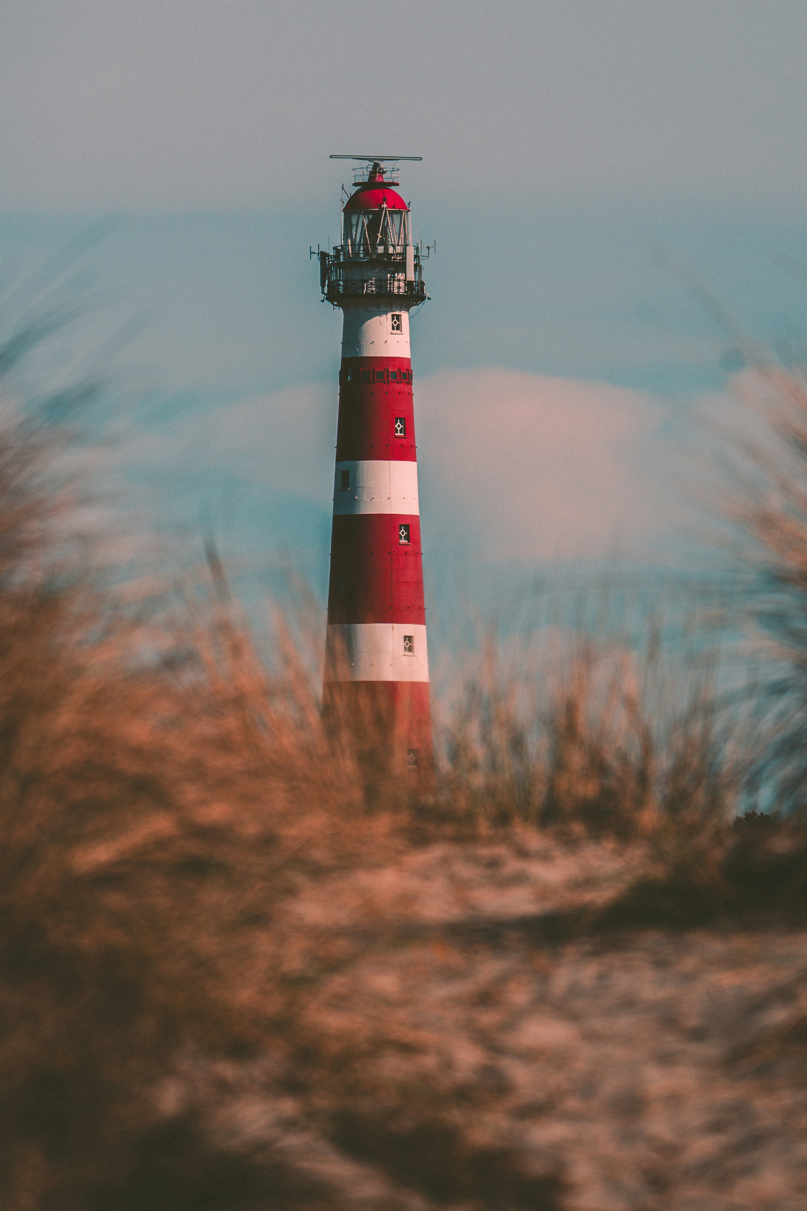 Red and white striped lighthouse behind dry beach grass.