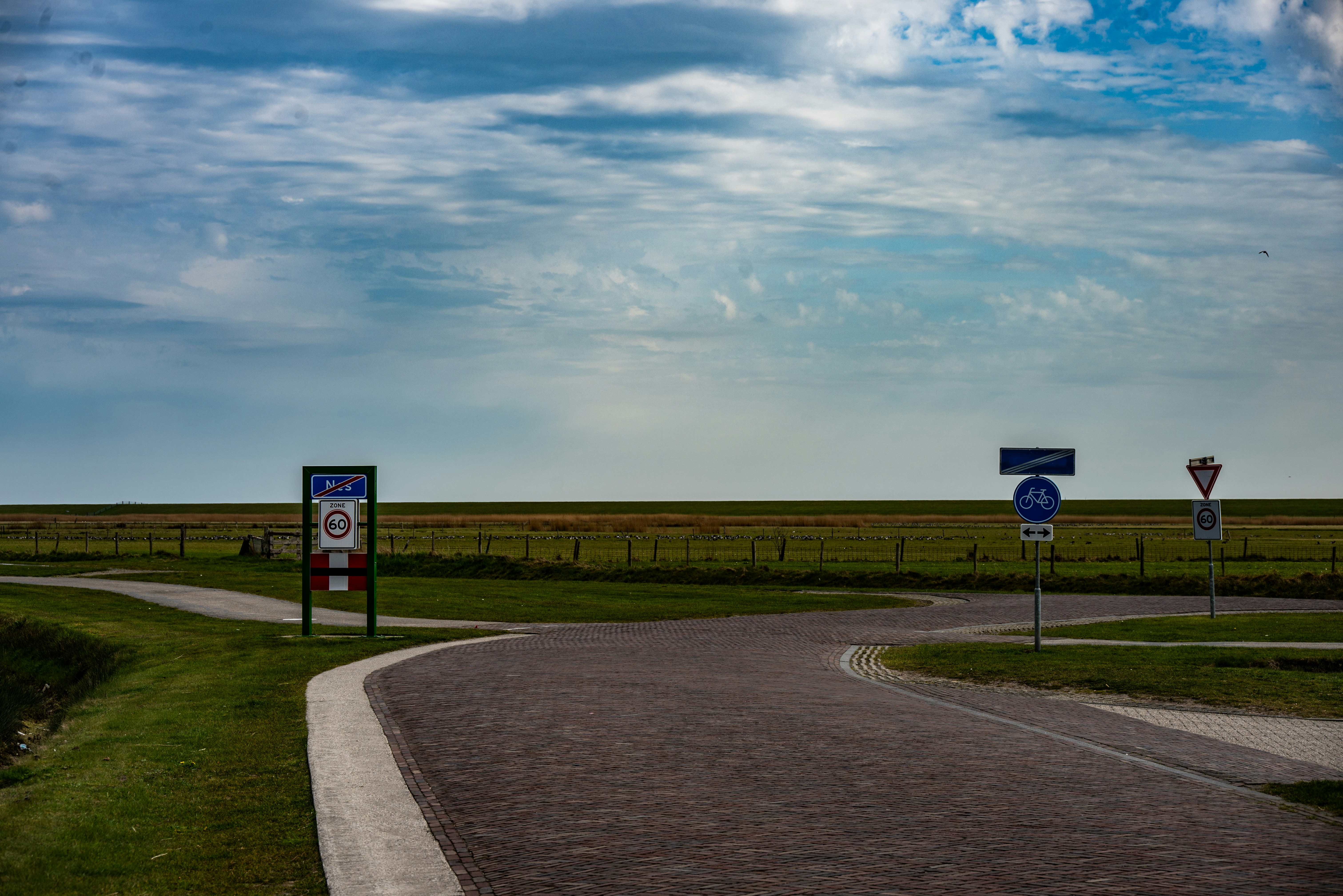 Crossroads to the Horizon: A Quiet Dutch Road in Open Flatlands