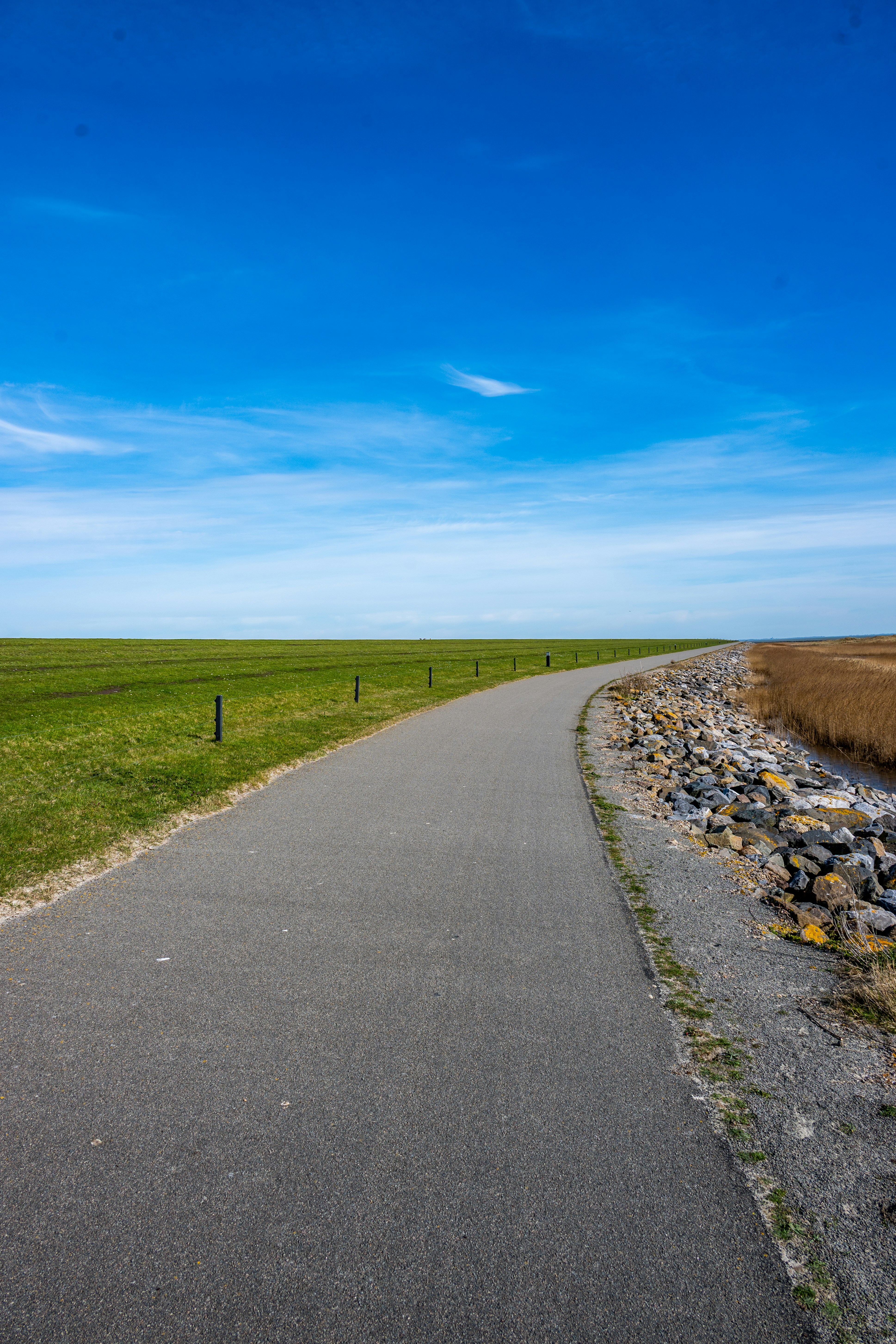 Toward the Distant Curve: A Serene Path Through Field and Sea