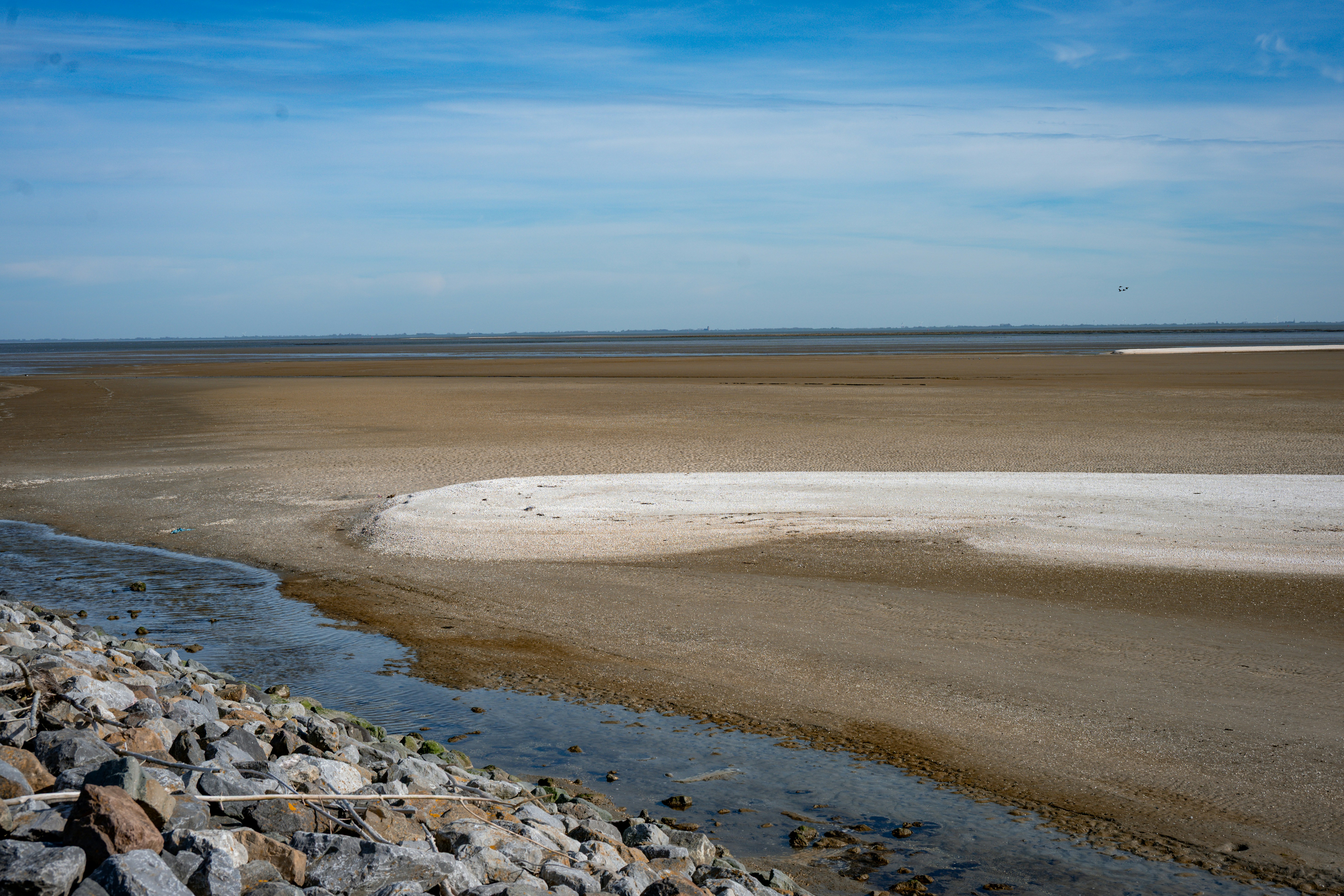 Deserted Tide: A Quiet Curve of White Sand in a Distant Lagoon