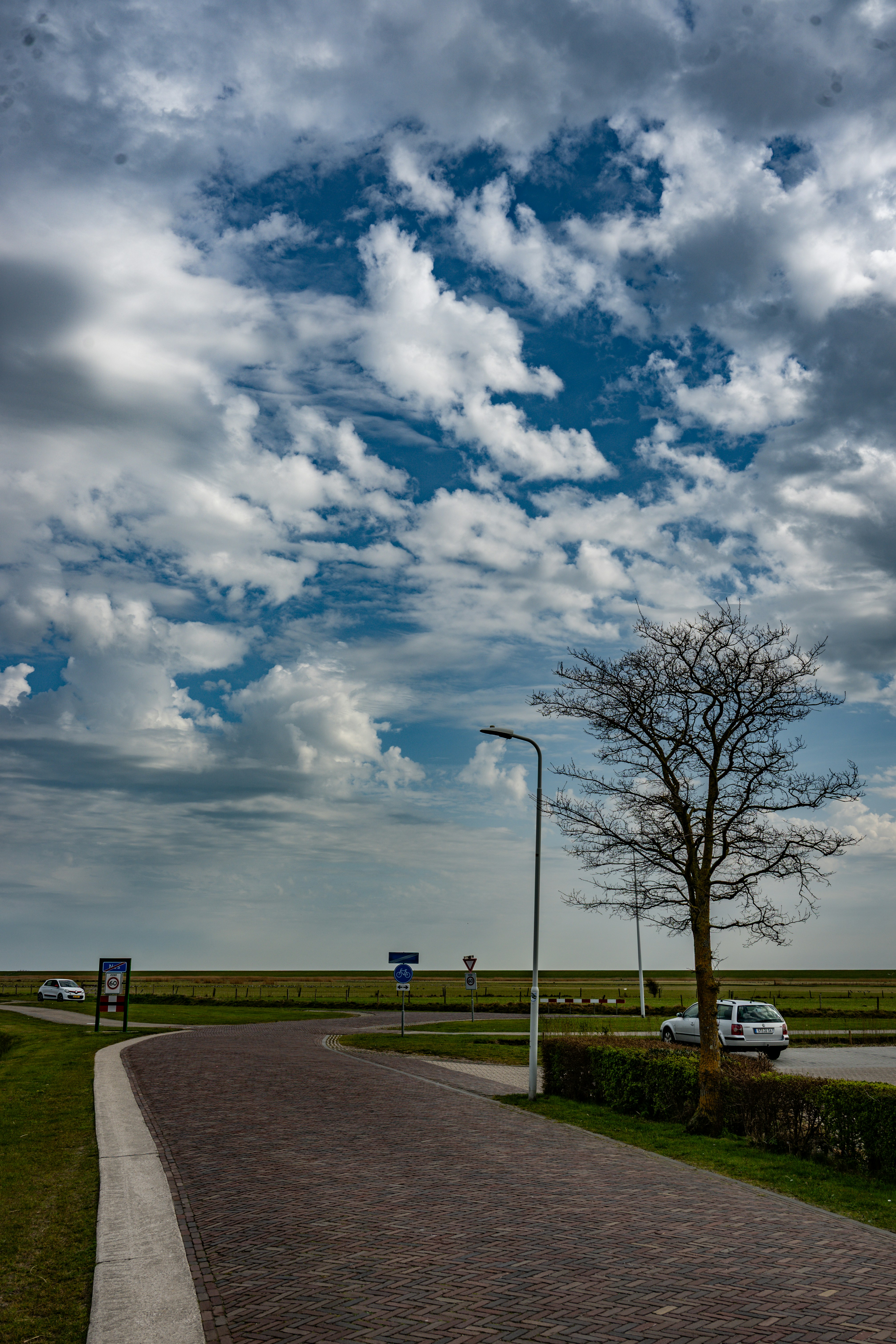 Roadside Quiet: A Tree, a Curve, and Expanding Skies