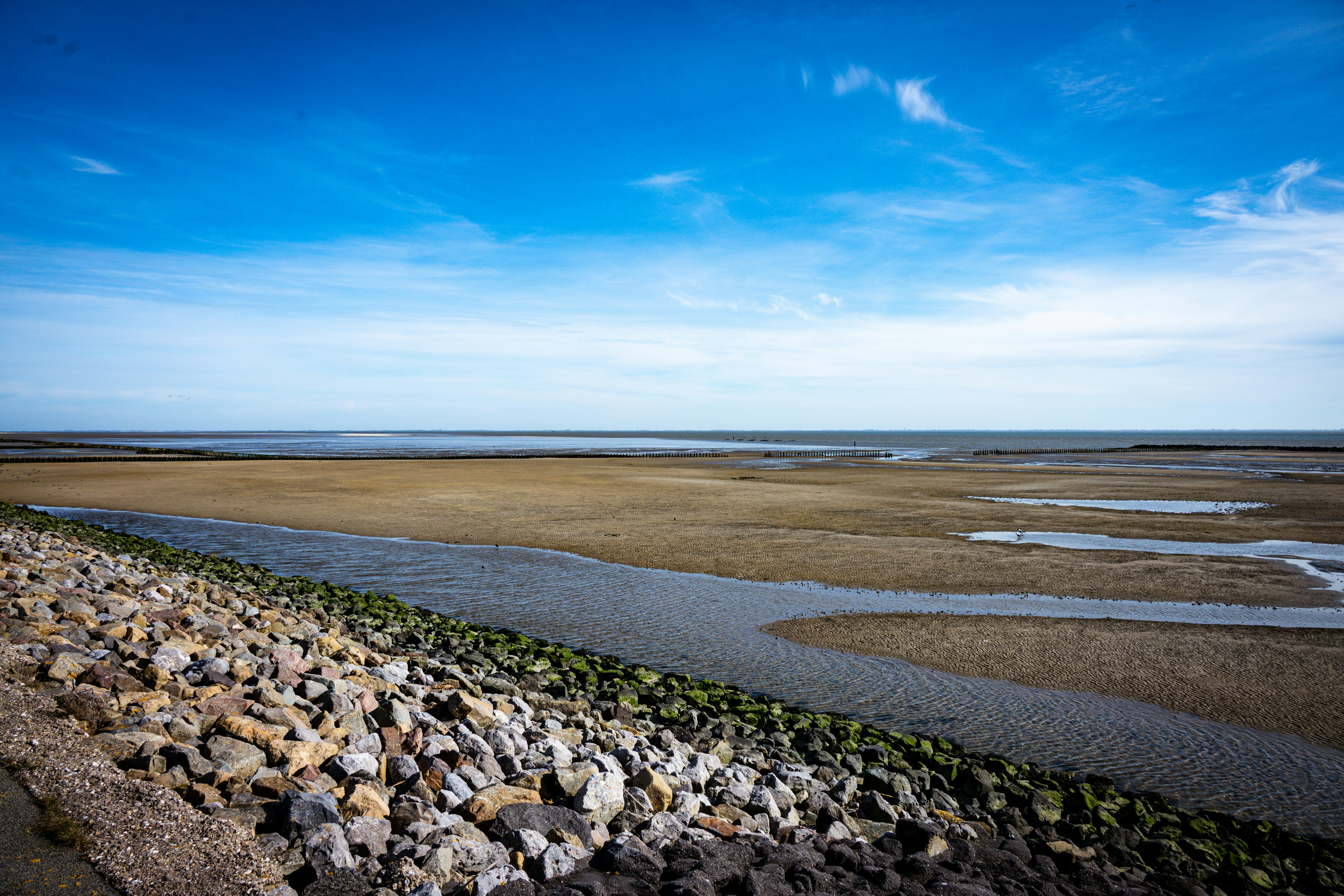 Rugged shoreline meeting a tidal flat under a crisp blue sky