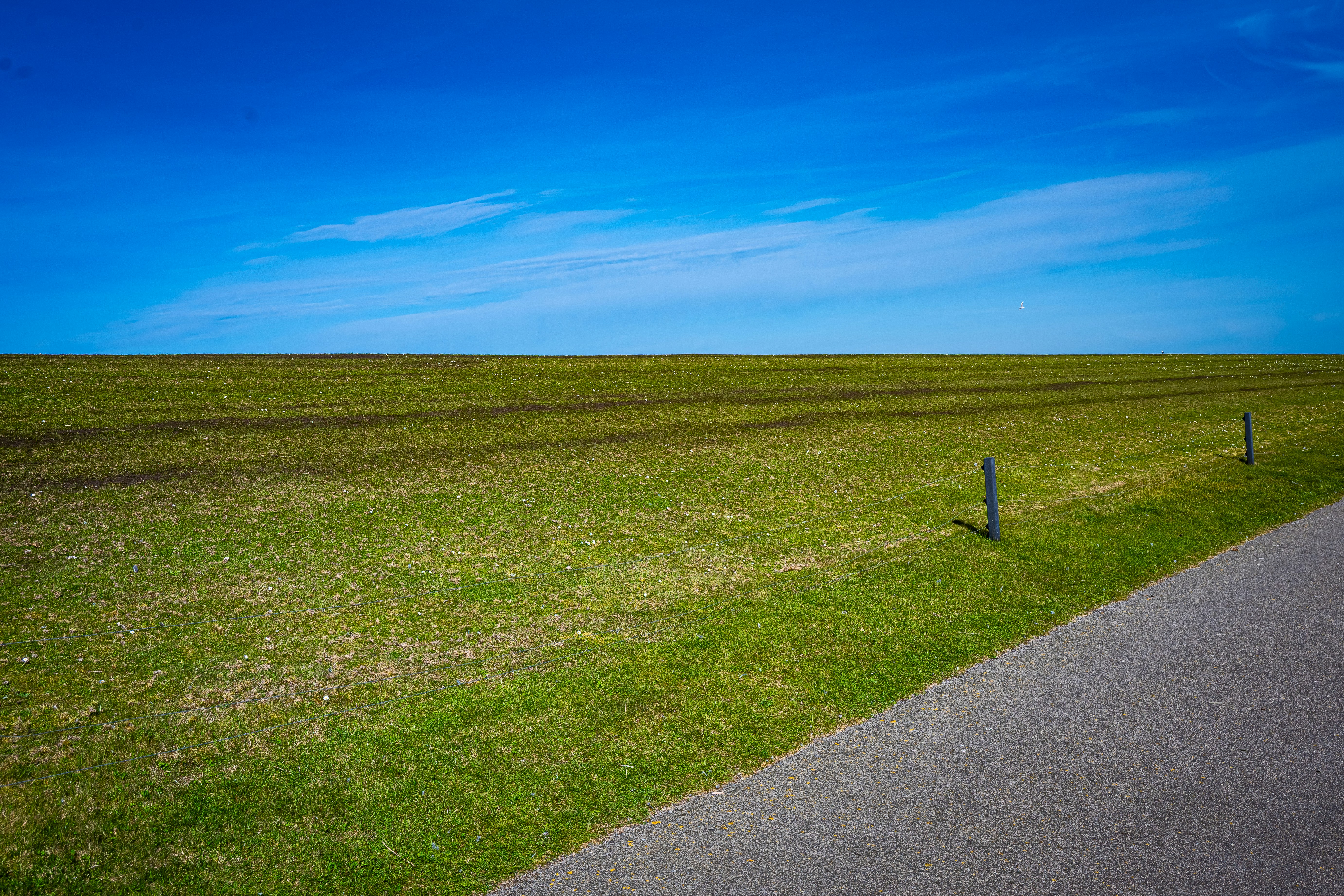 Endless Mile: A Quiet Field Under a Wide Blue Sky
