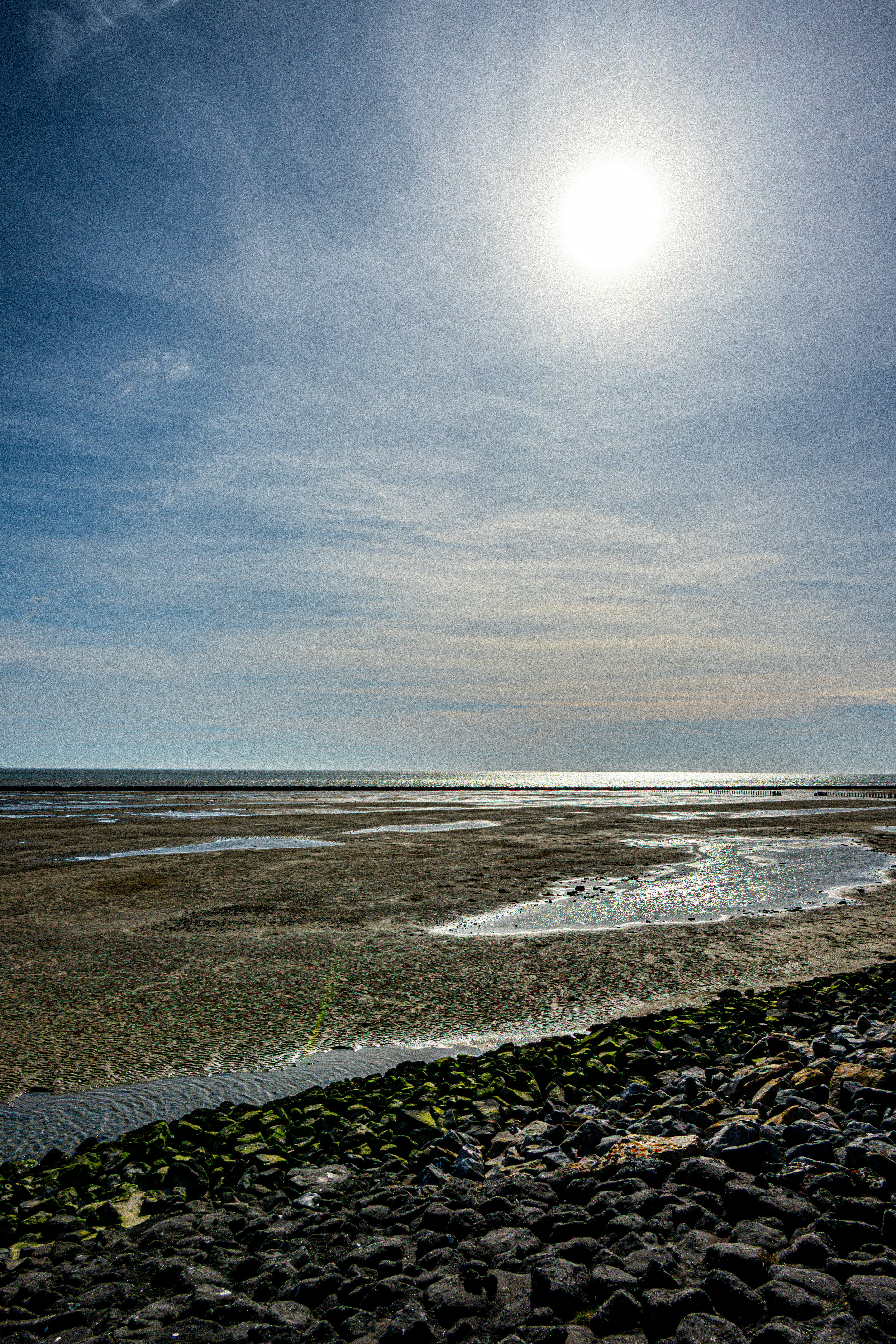 Sunlit Tidal Flats Under a Quiet Sky