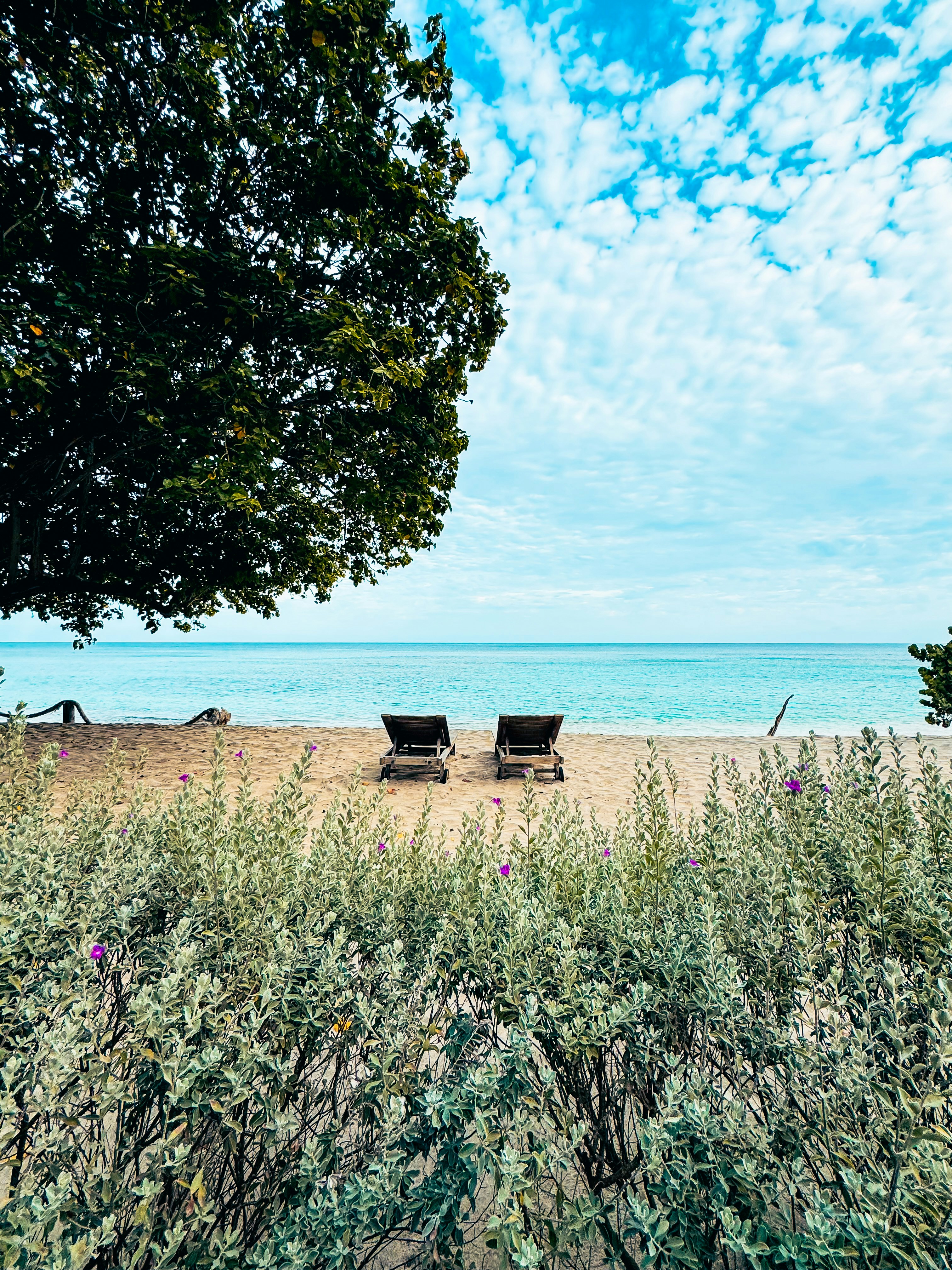 Sunlit Beach Chairs Beneath a Canopy of Lavender and Sky