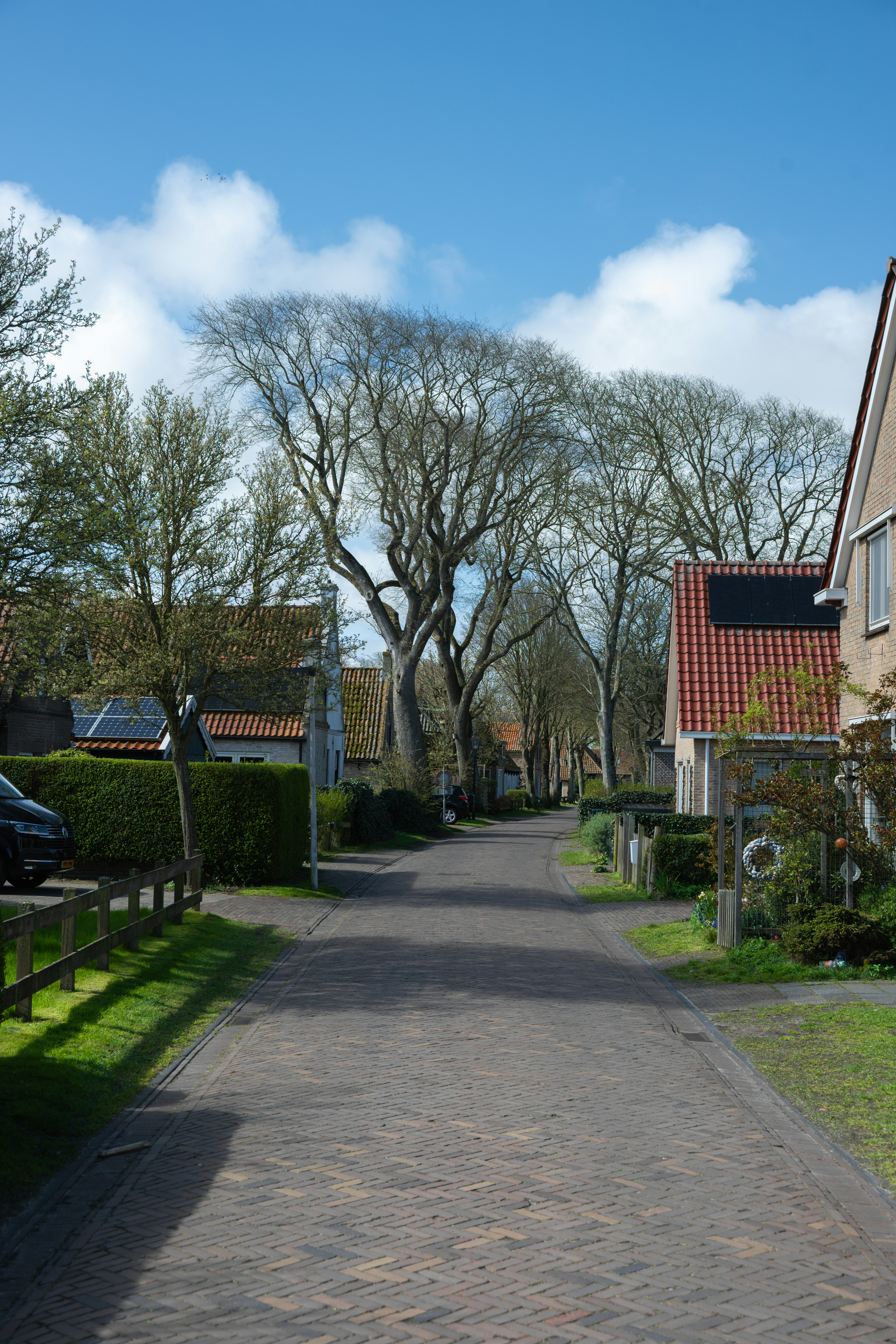 A quiet brick street lined with houses and trees.