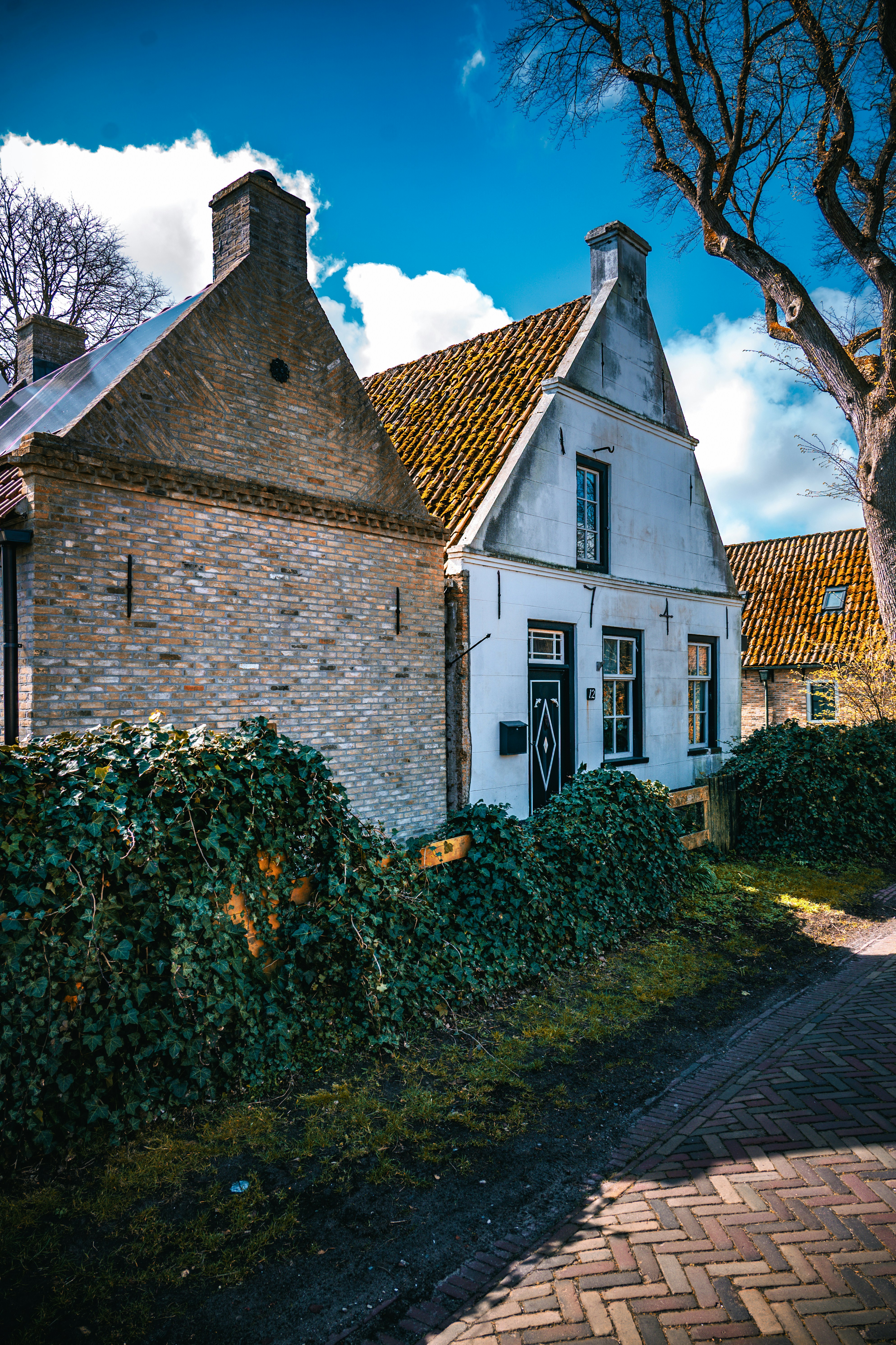 Pastel Facades and Ivy-lined Lane