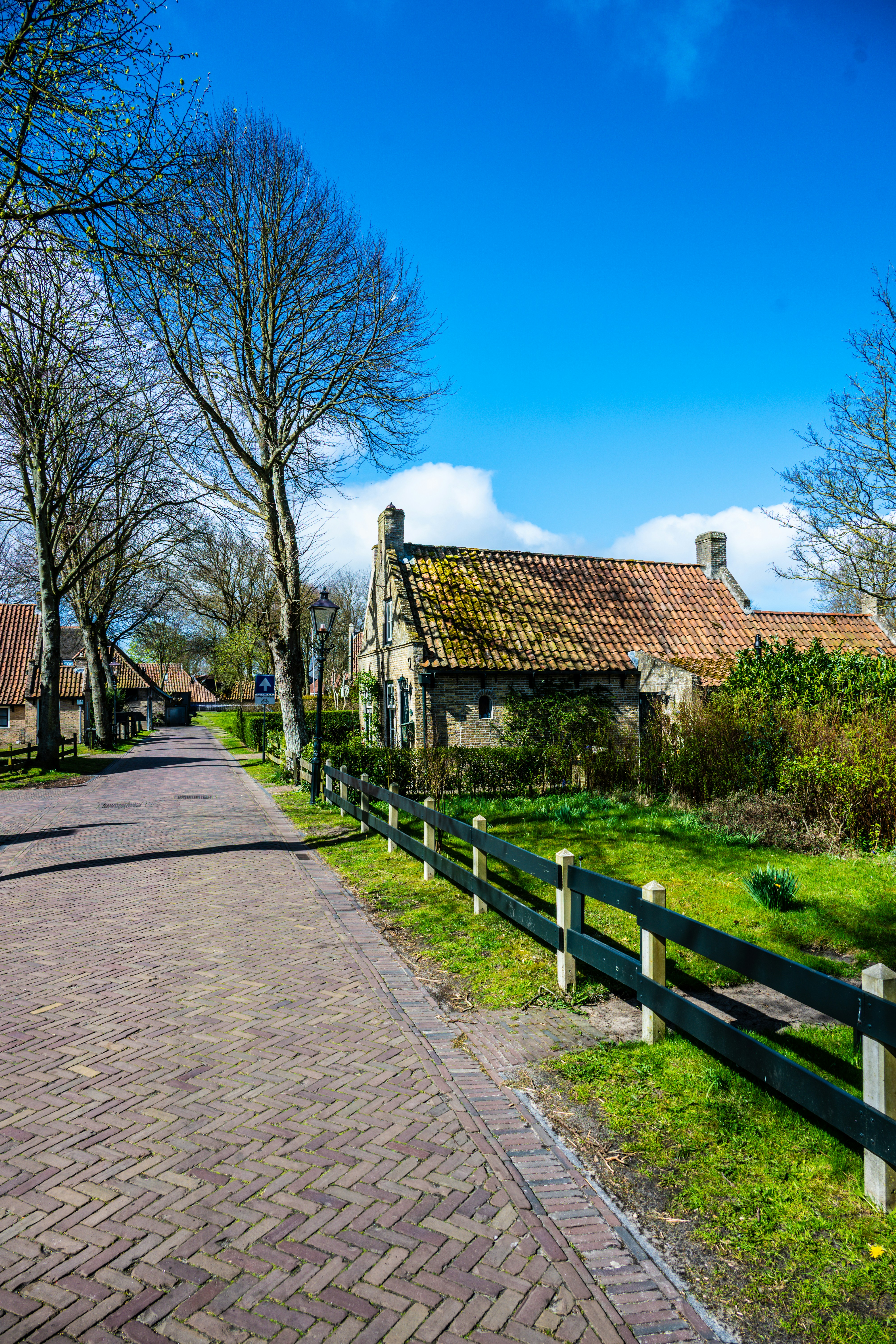Village Lane in Bright Spring Light