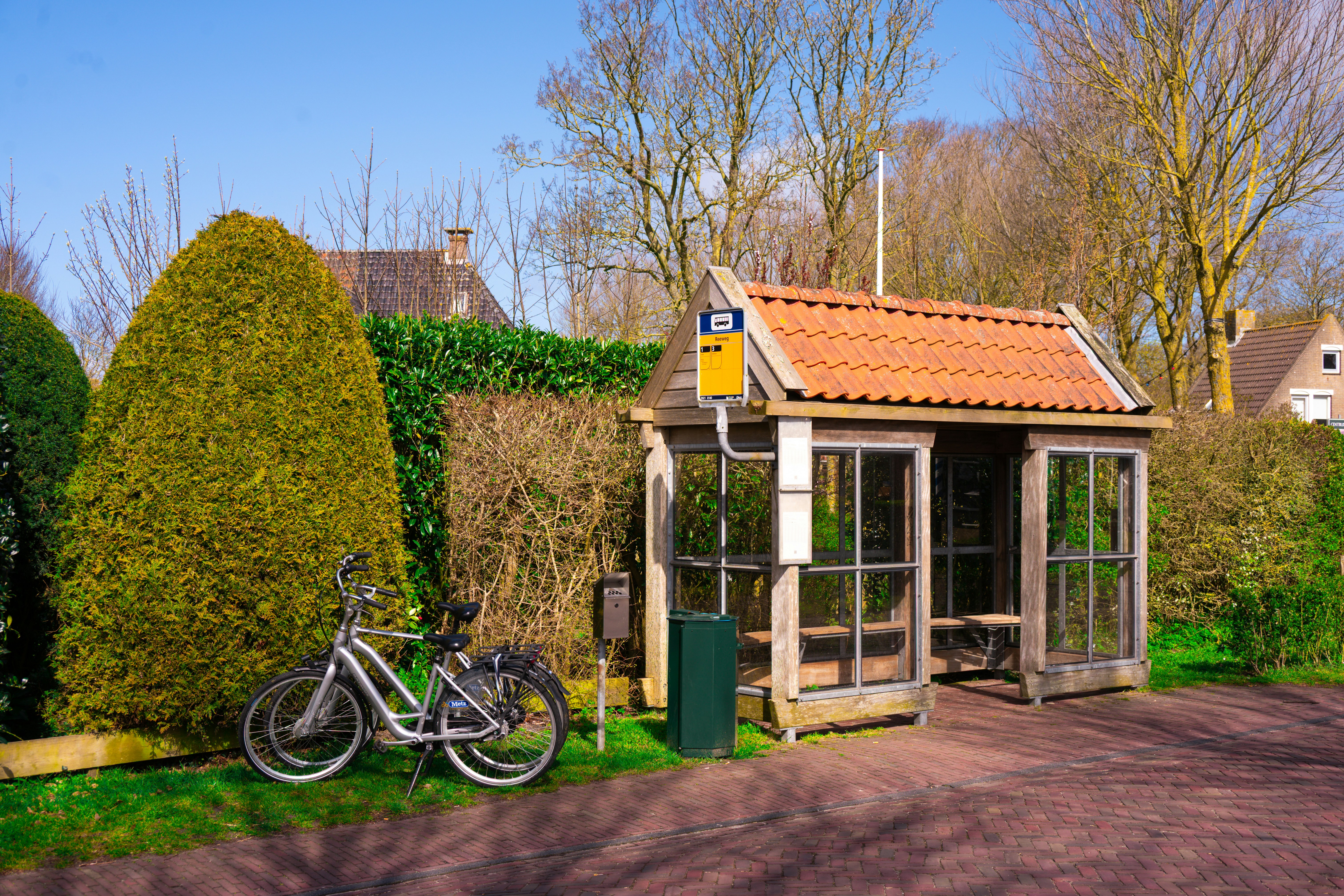 Quiet Station: A Bicycle, a Glass Bus Stop, and Pruned Trees