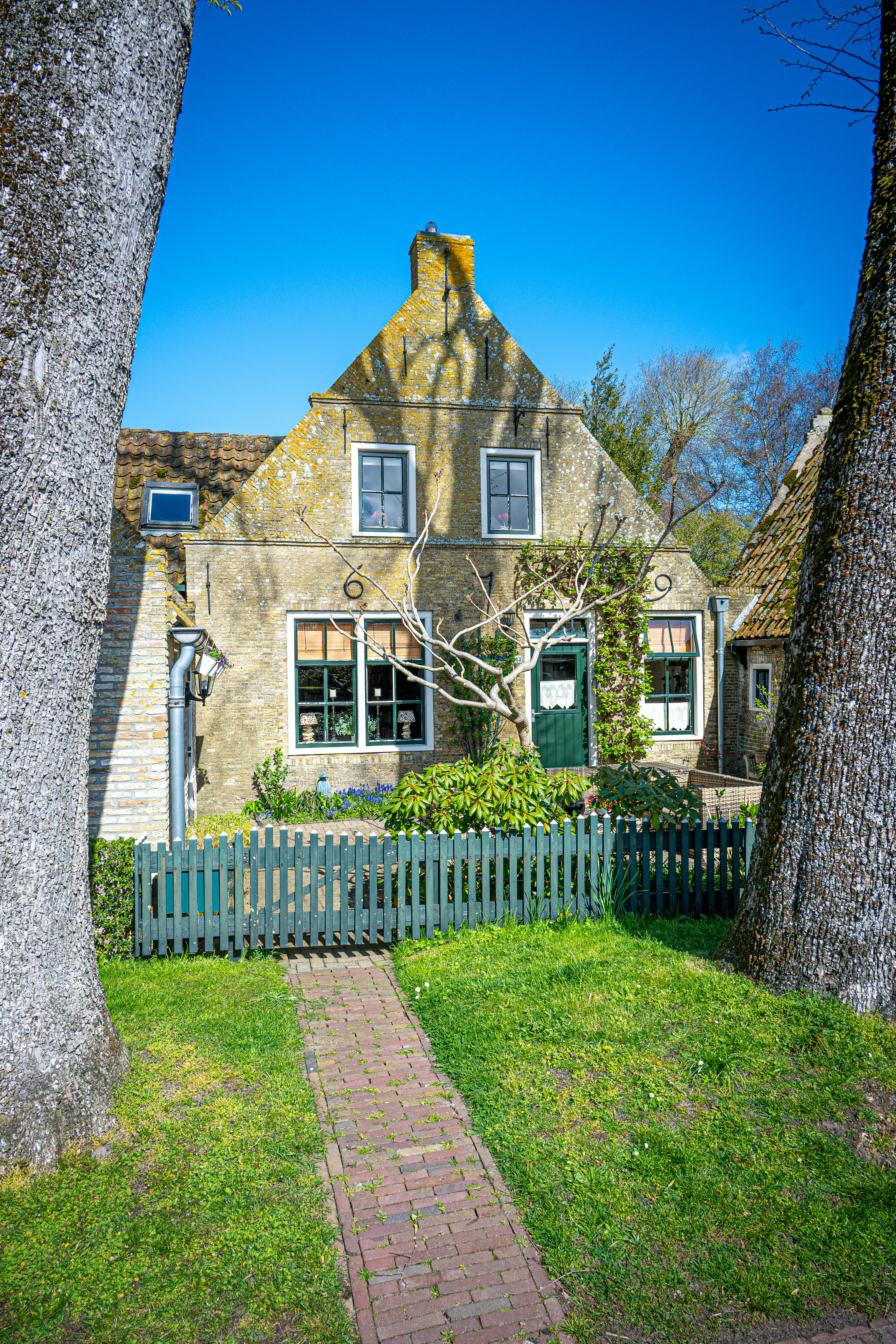 Cottage Doorway Beneath Gnarled Trees