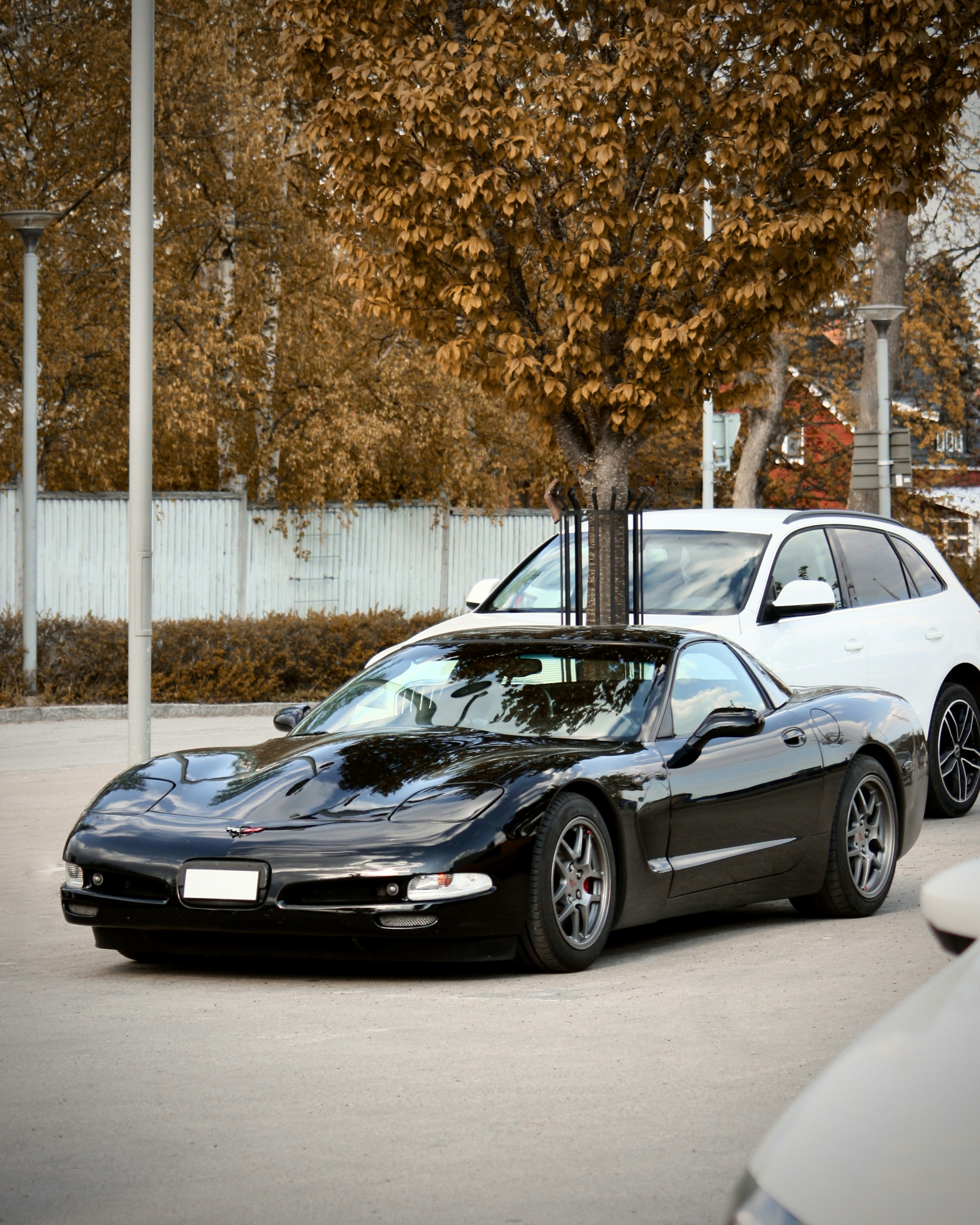 Two-tone Heritage: Black Corvette Graced by a Quiet Street