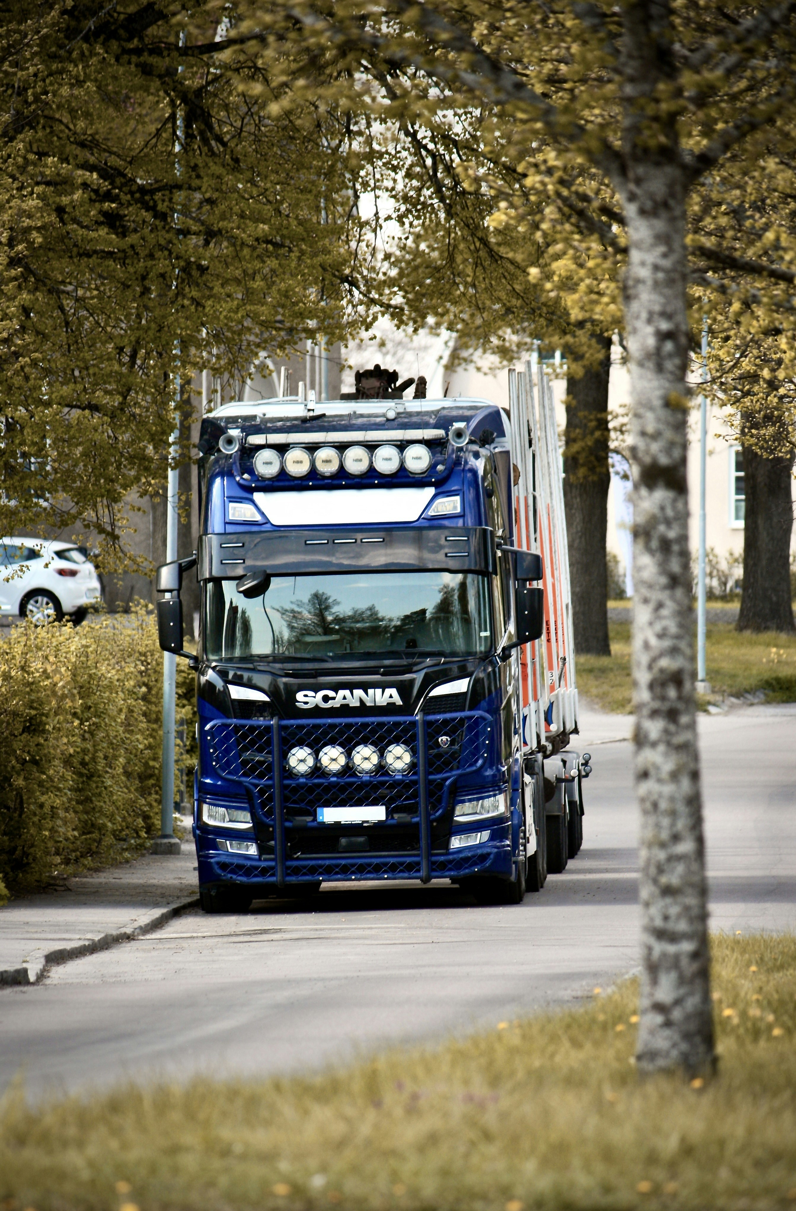 Blue Road Guardian: A Scannia Truck Stands Proud Along the Tree-Lined Avenue