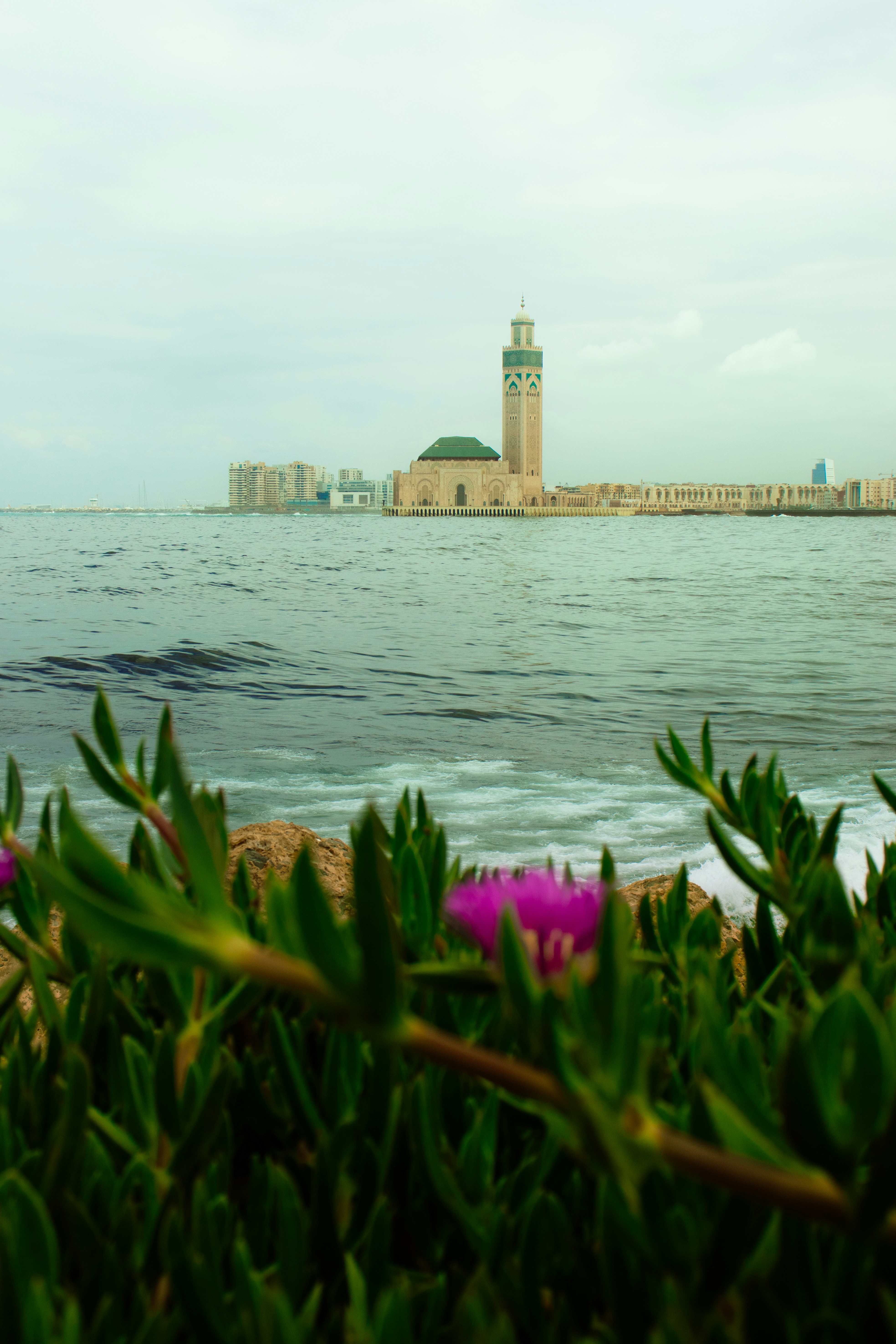 Coastal City Silhouette: Tower, Sea, and Blooming Edge