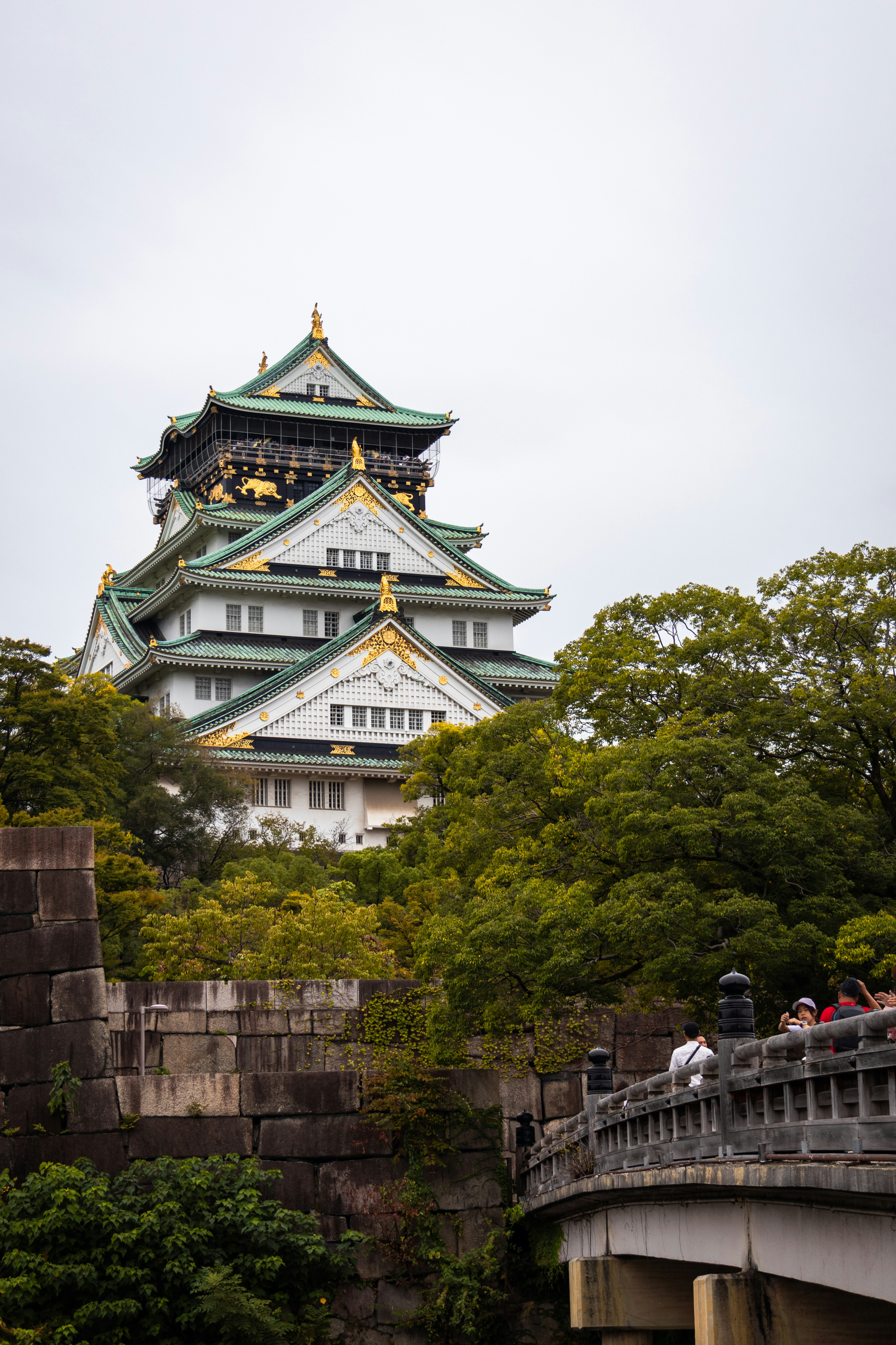 Castle in the Green Corridor: A Pagoda-topped Fortress Surrounded by Trees