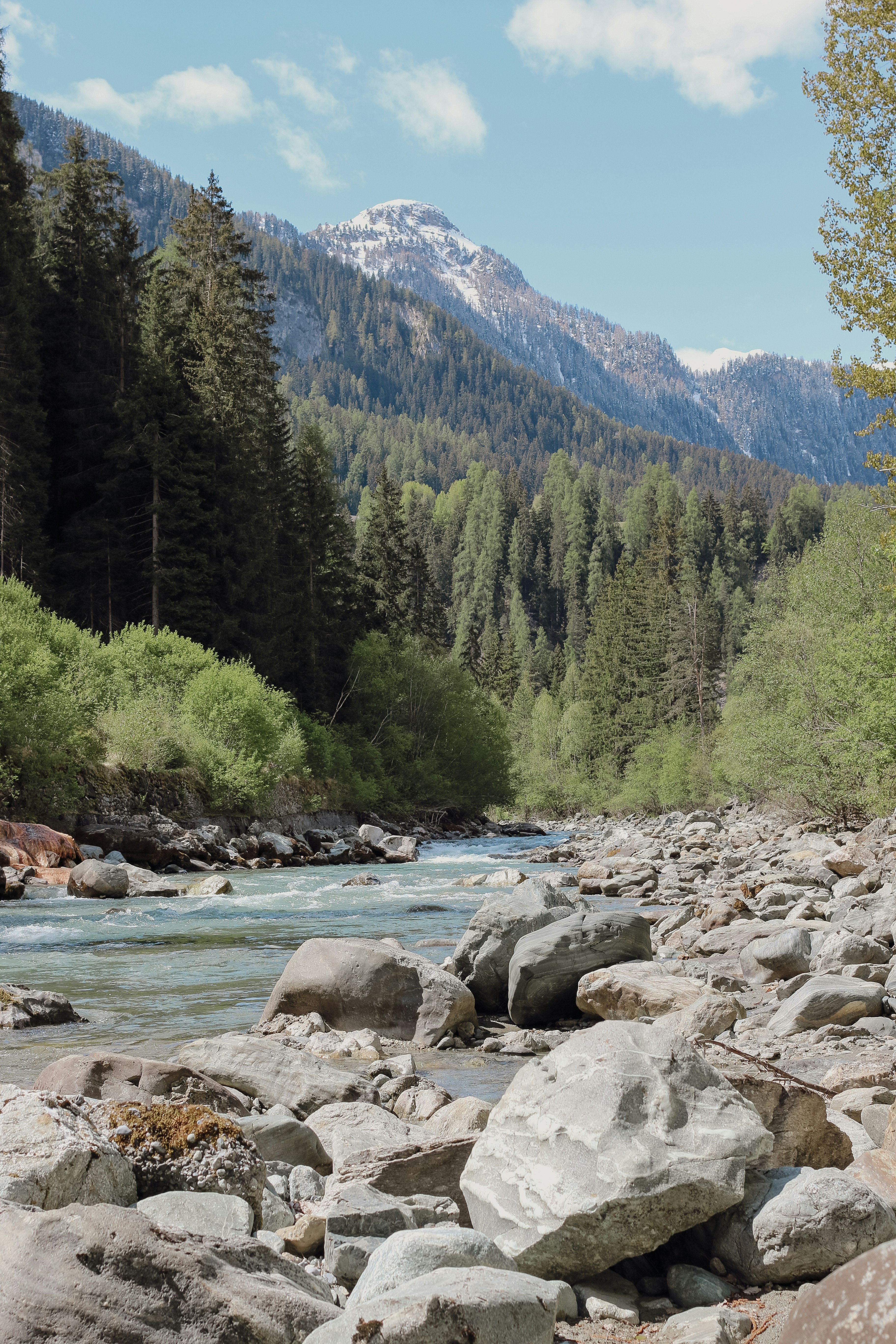 Rugged riverbank beneath a pine-blanketed valley and snow-dusted peak