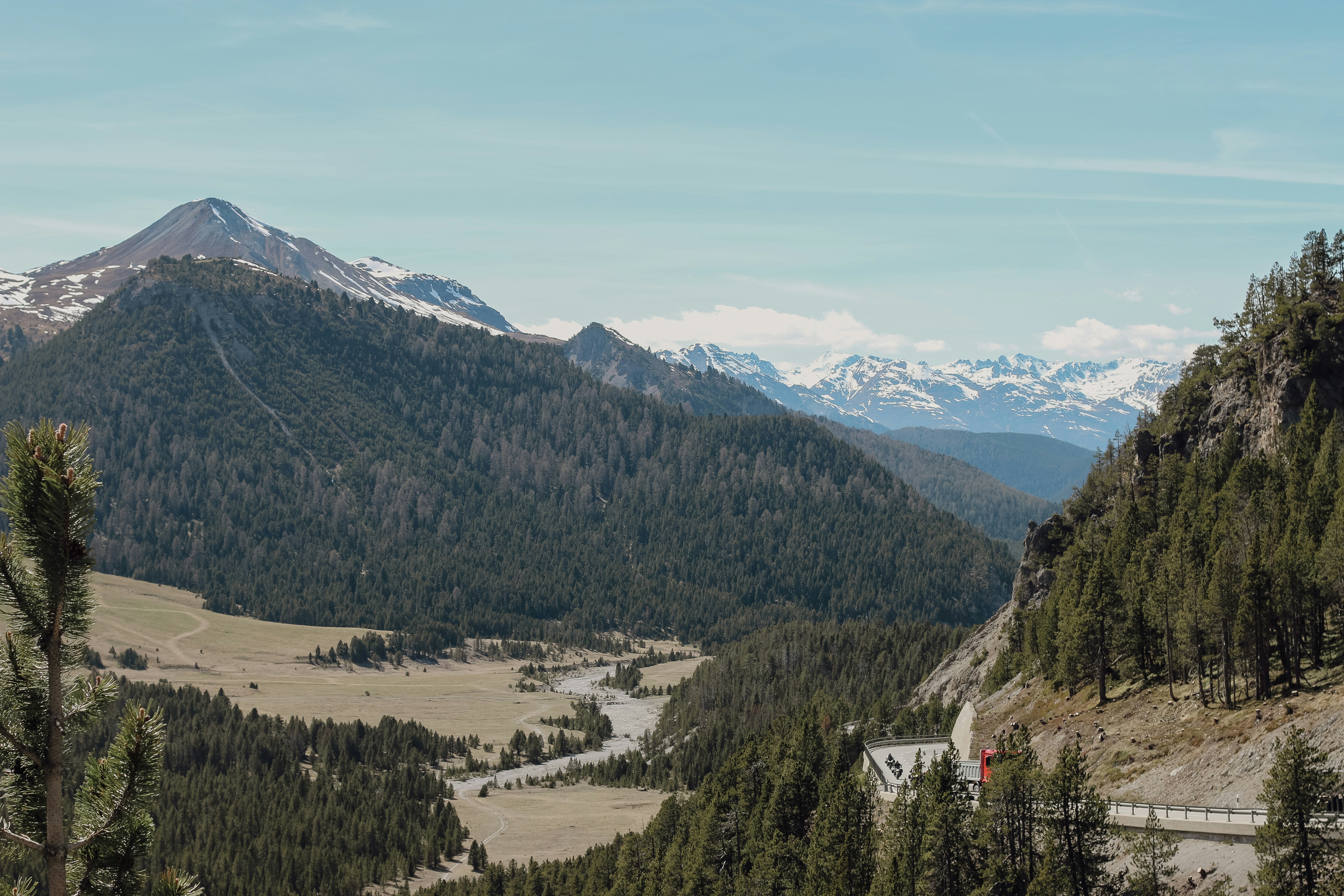 Valley Road Through Alpine Pines with Snow-Capped Peaks