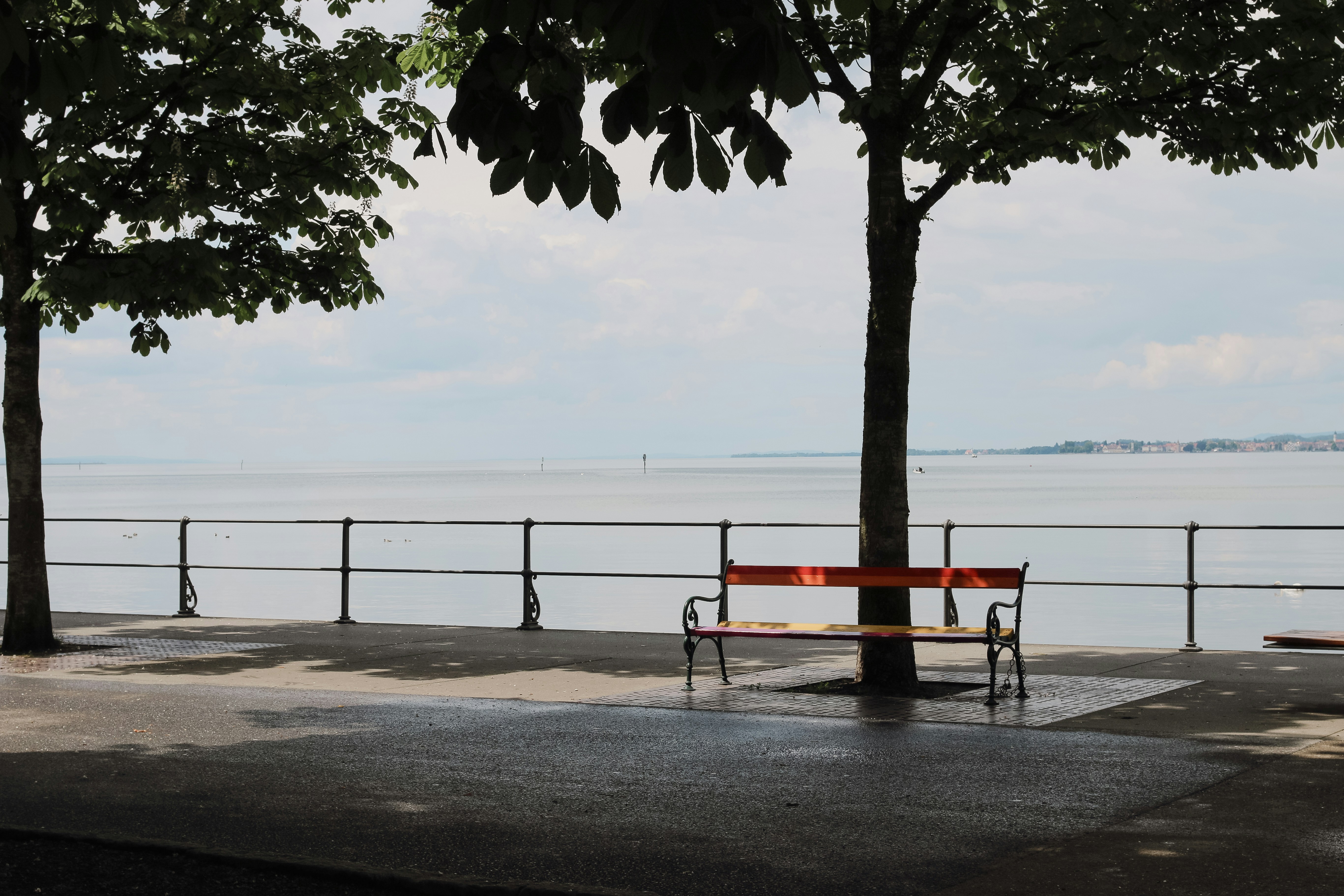 Quiet Seaside Pause: Bench Beneath the Shade by a Calm Lake