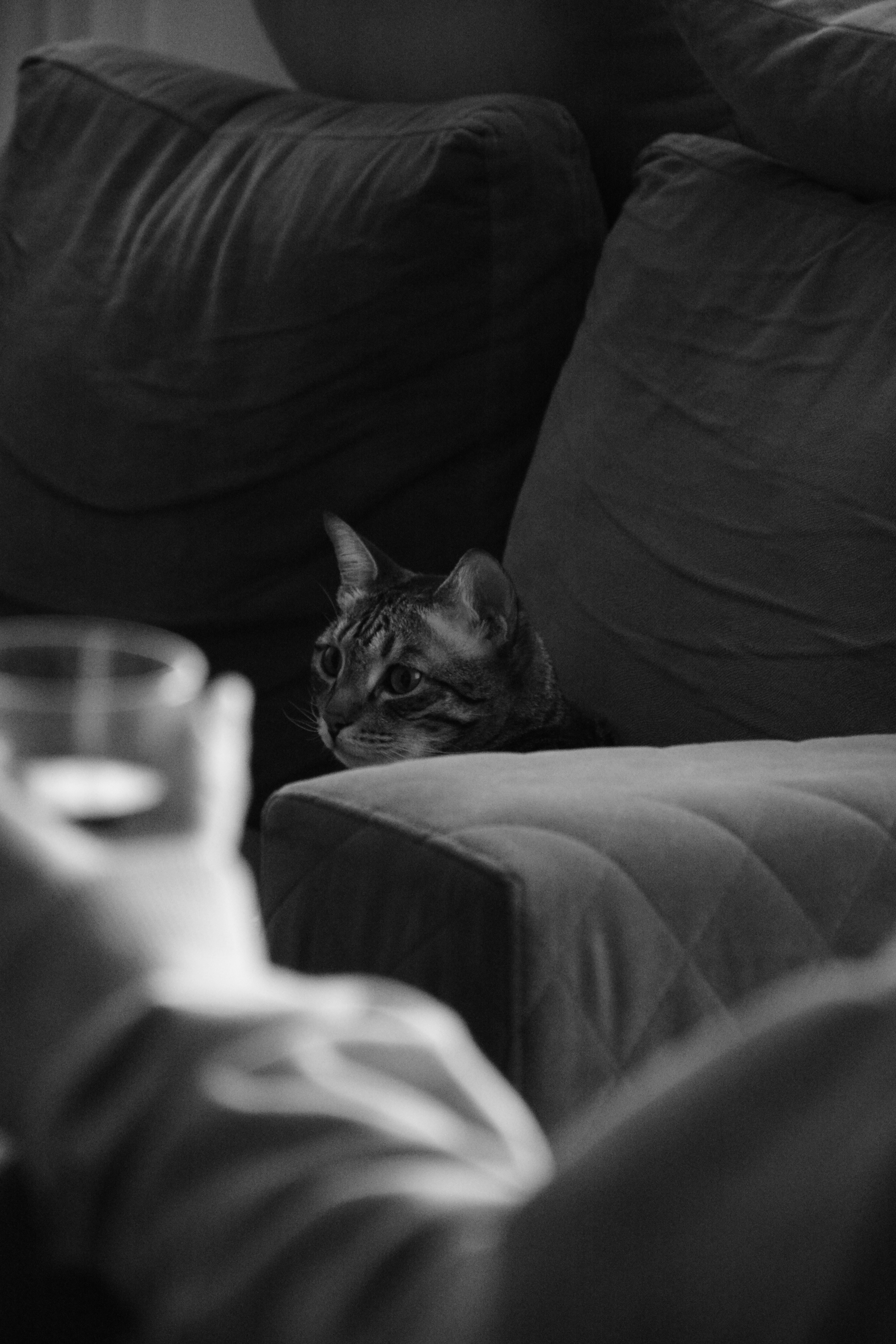Hidden Observer in the Sofa Light