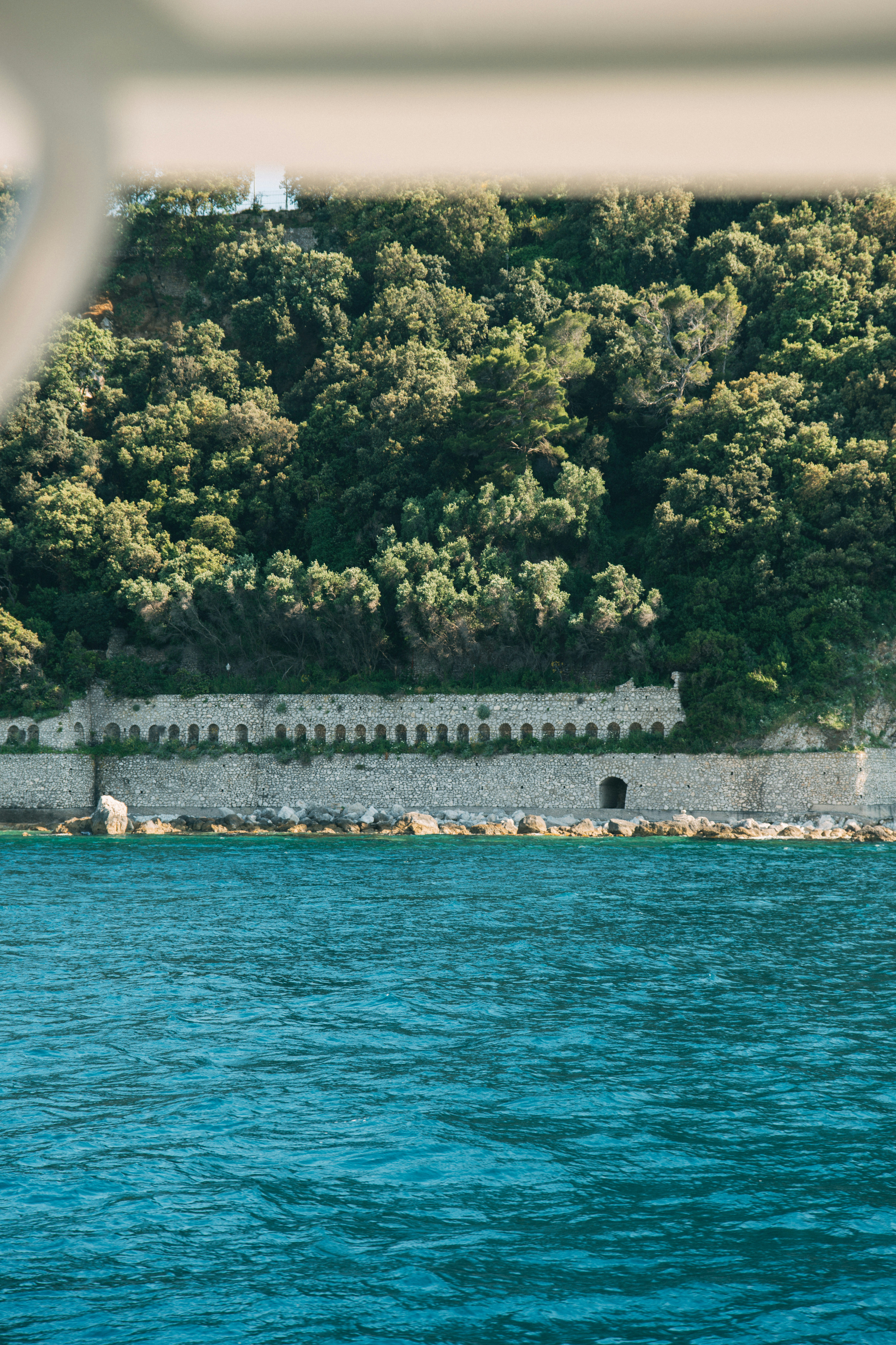 Stone Sea Wall Framed by Wind-swept Pines