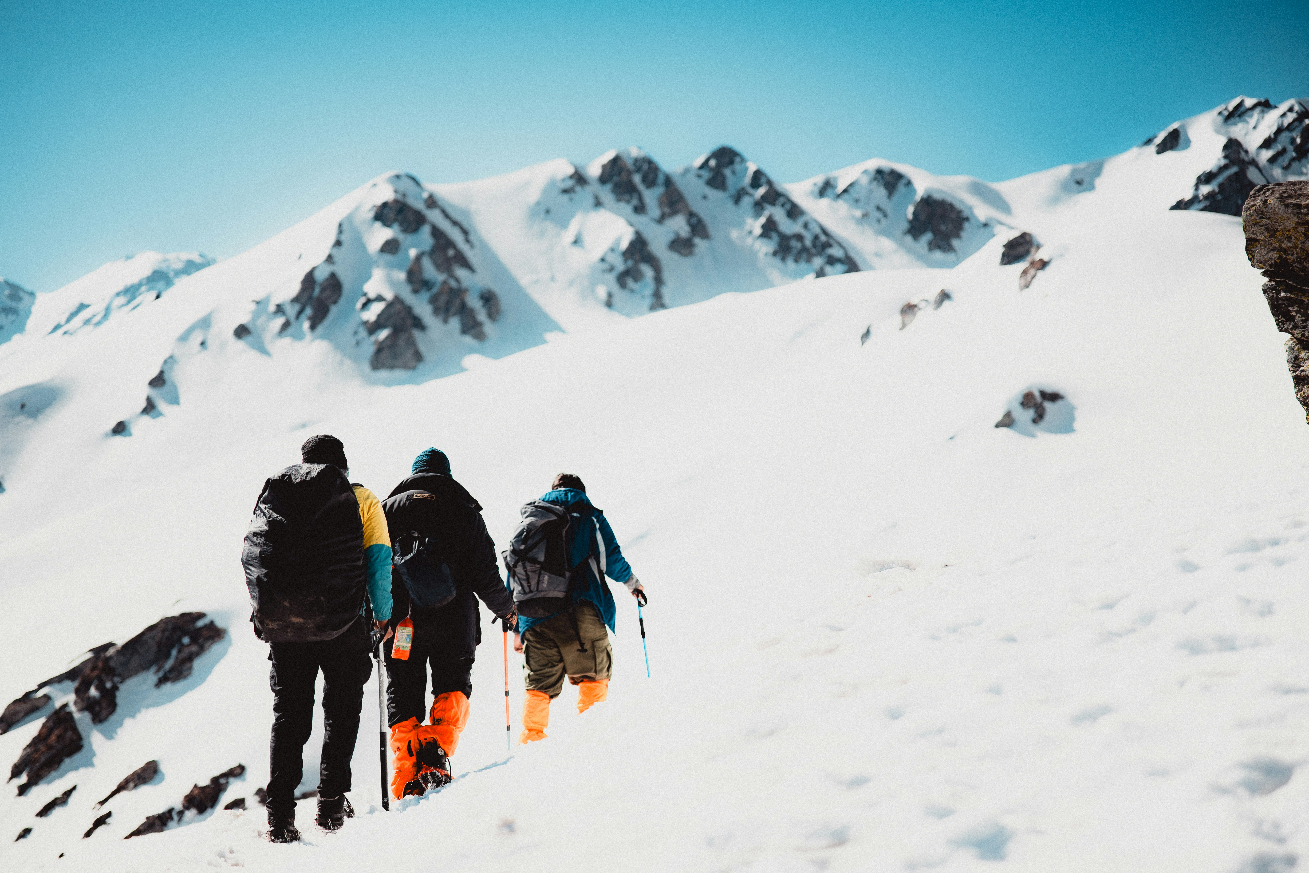 Triumphant Ascent: Night-dark Jackets Converge on Snowbound Ridge