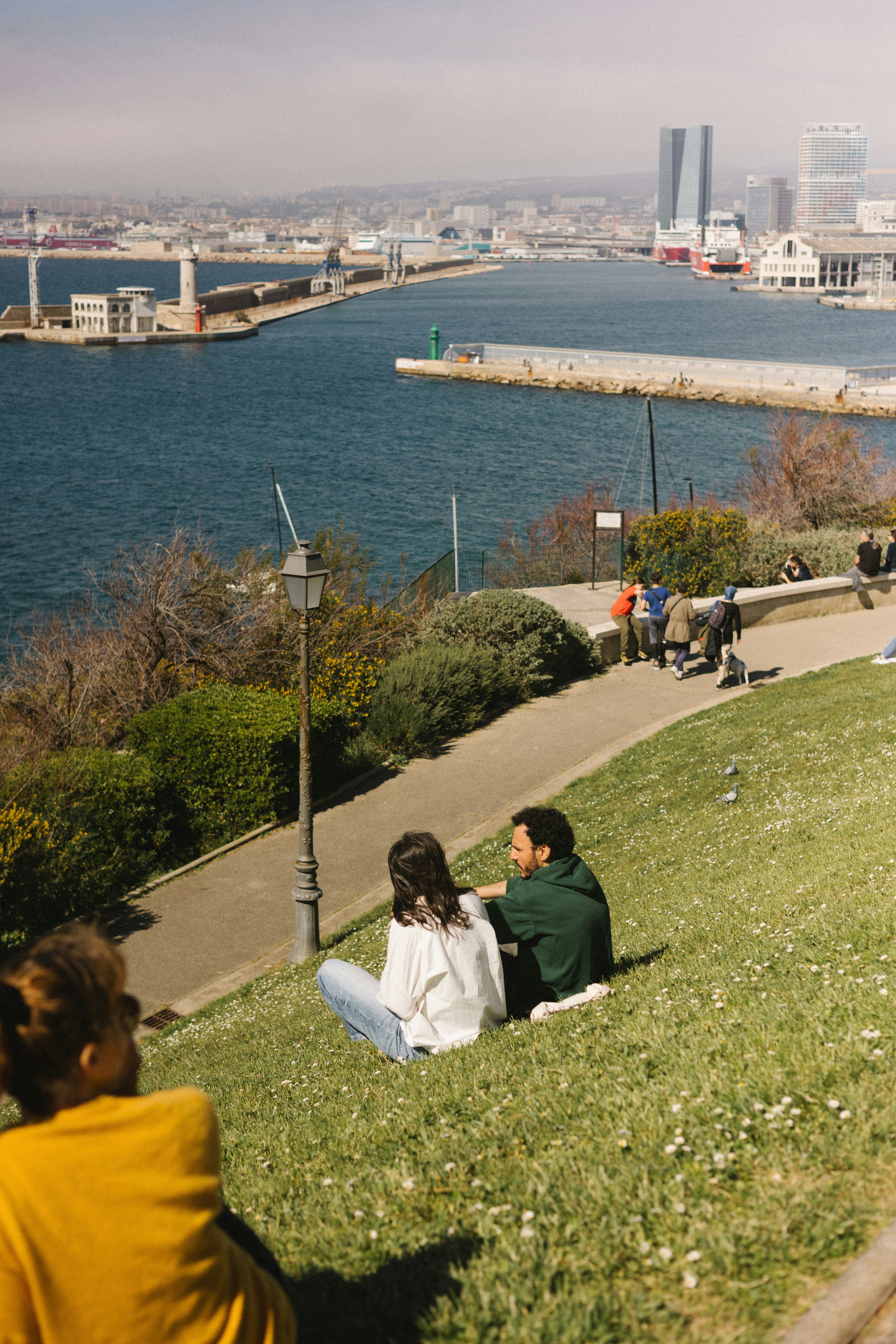 People on a grassy slope overlook a harbor with modern skyline