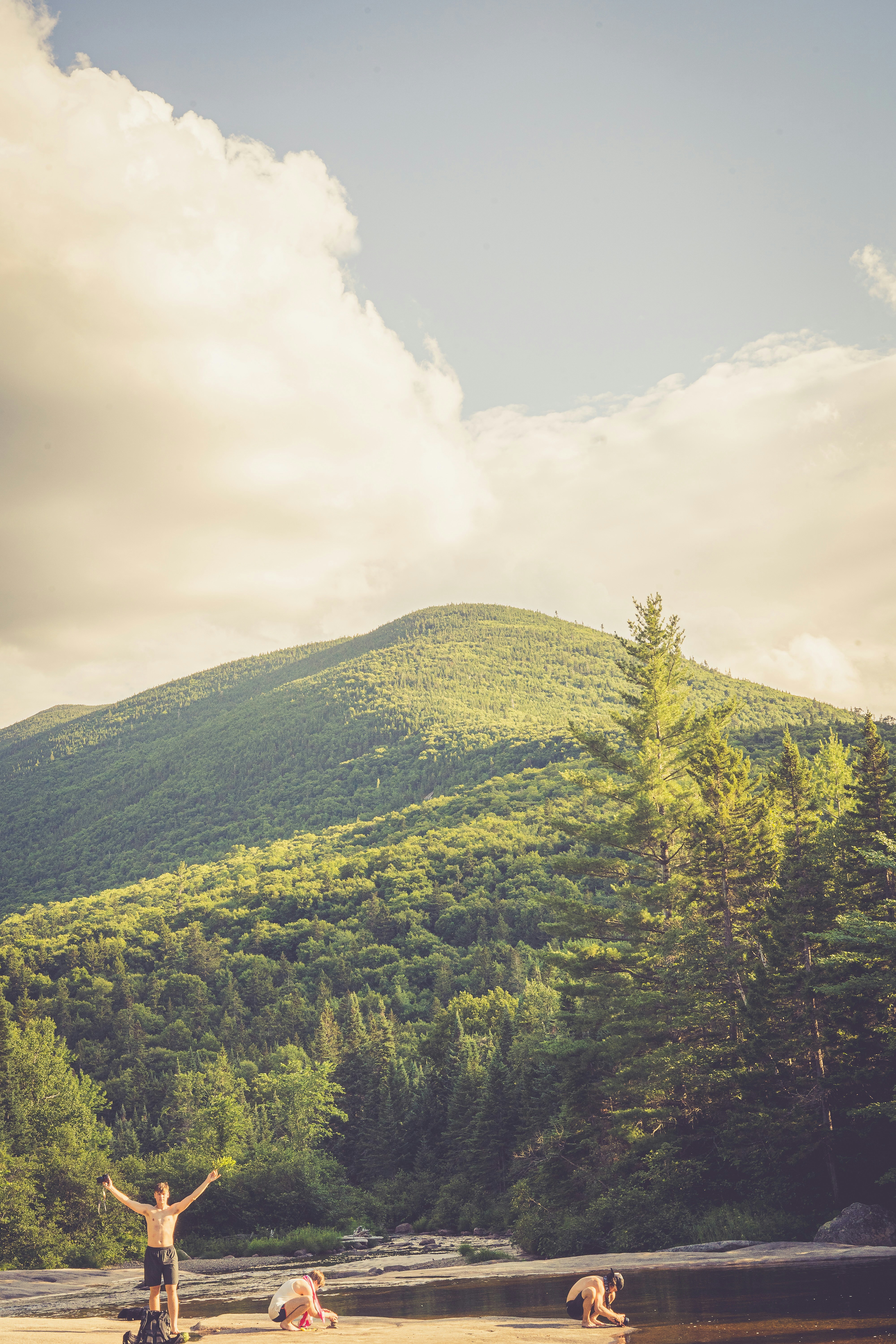 Shoreline Summit: Celebrating the Quiet Peak