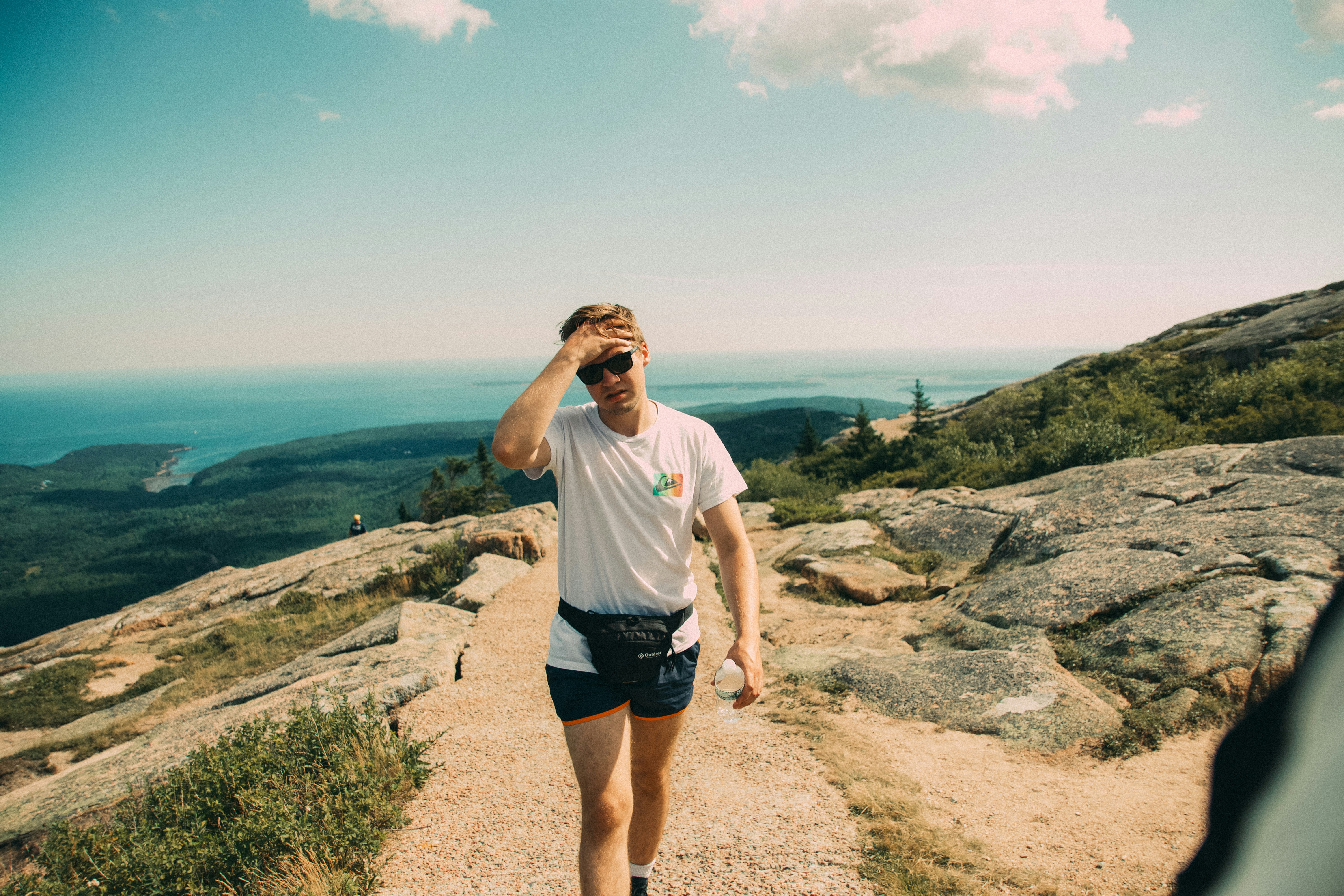 Trail Regent on the Crest: A Sunlit Hike Across Pine Ridge