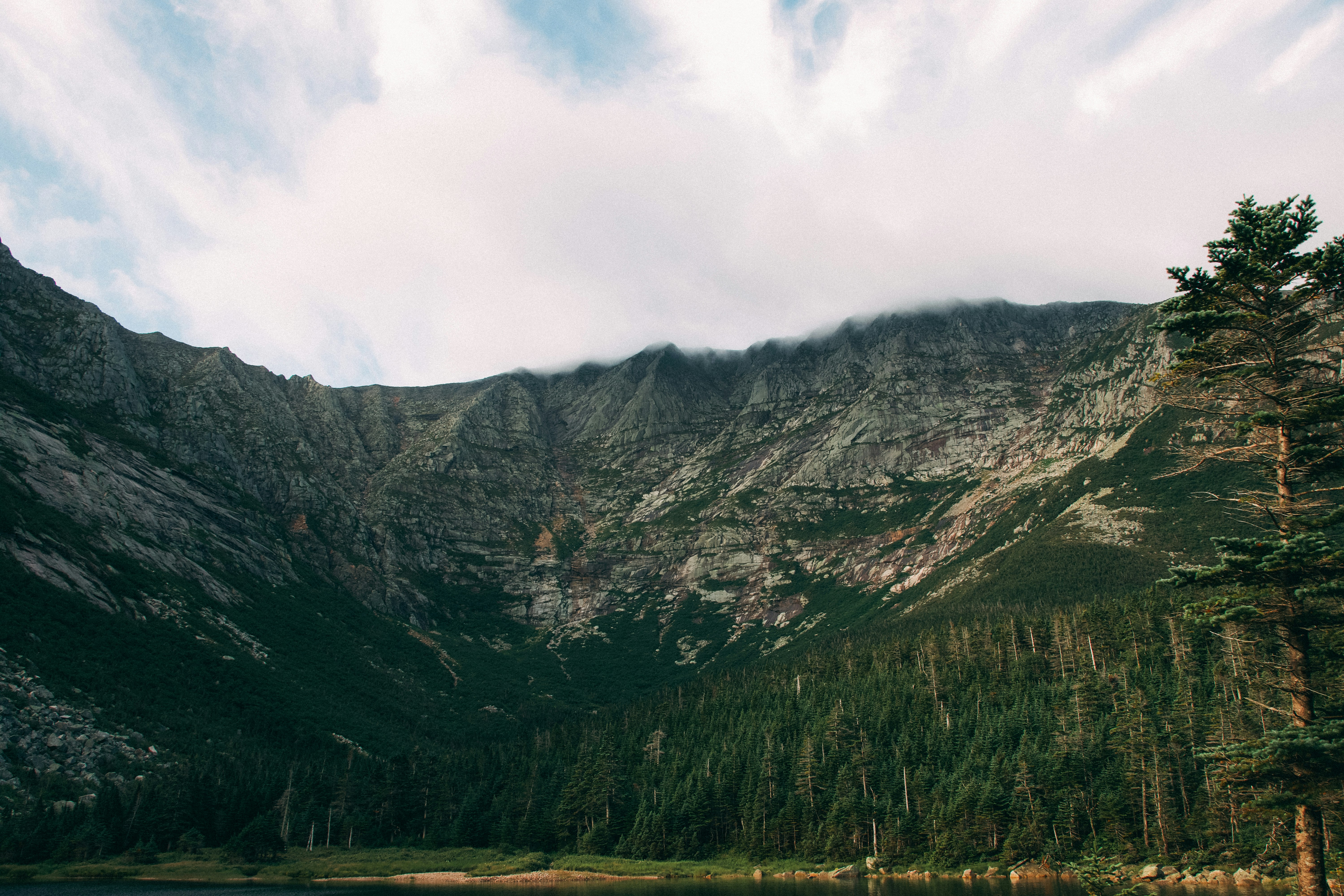 Mountain Basin at Dusk: A Quiet Forest Wall