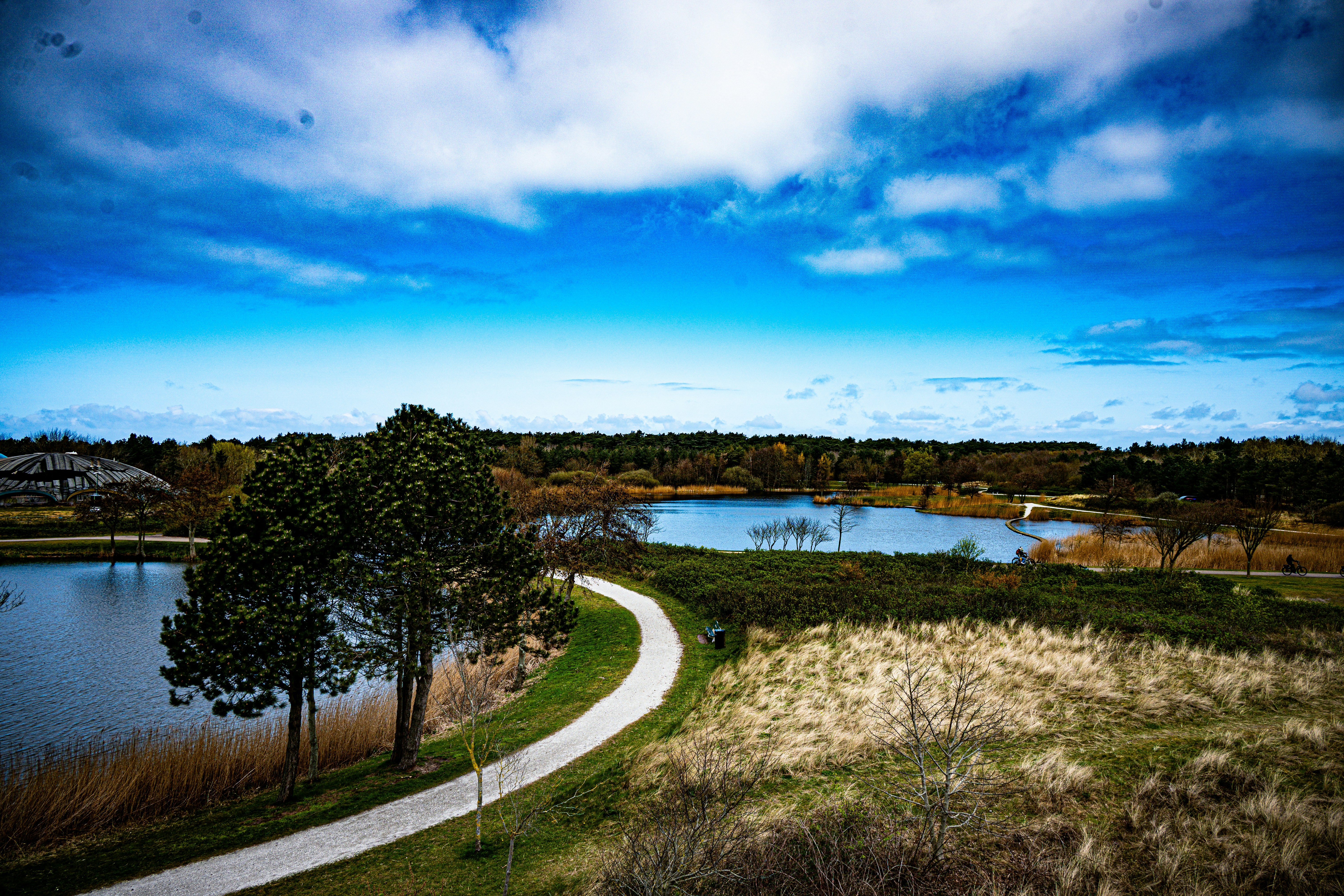 Curved Path through Parkland by Quiet Lake Under Wide Sky
