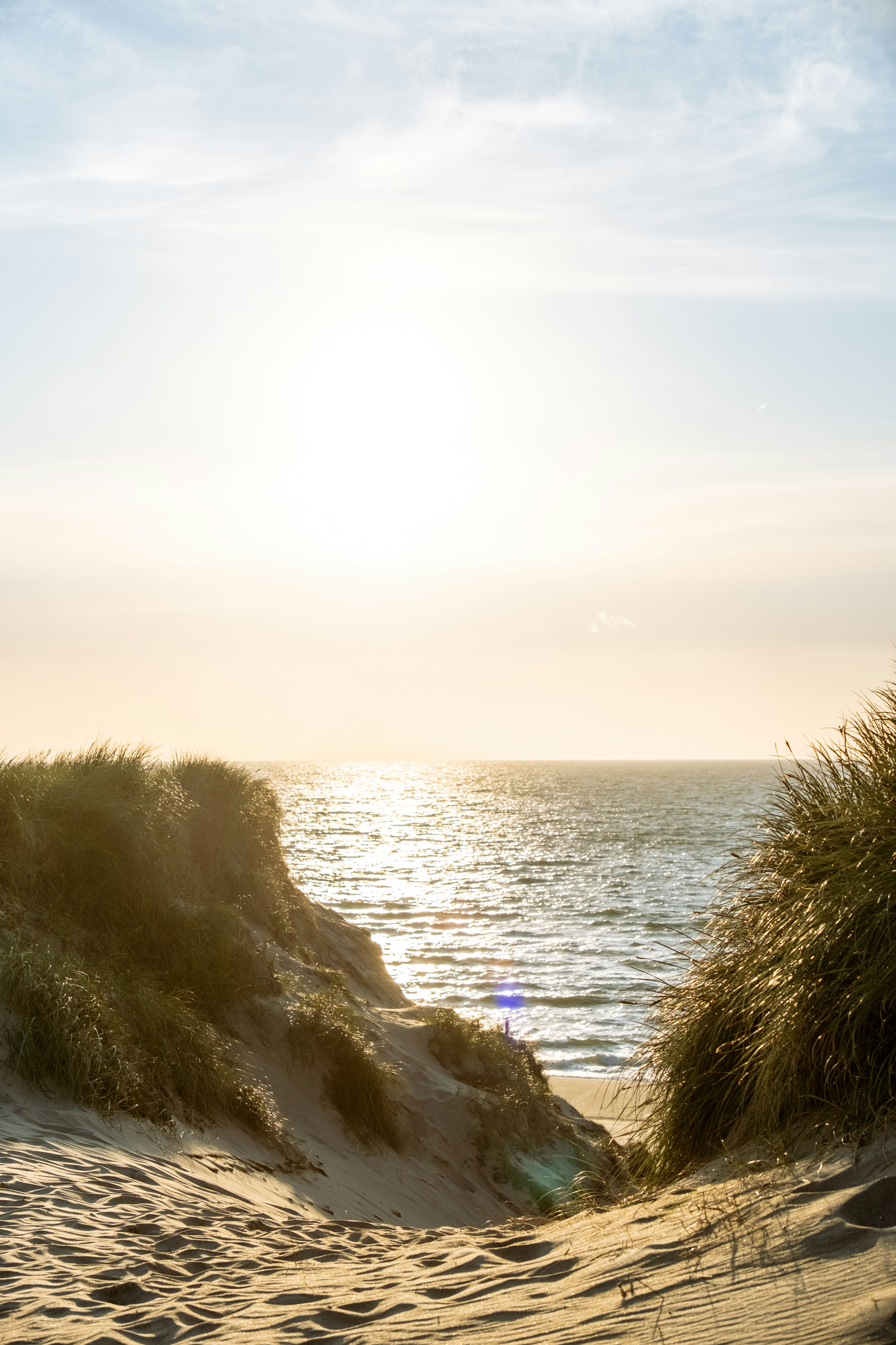 Golden Dune Corridor toward the Quiet Sea at Sunset