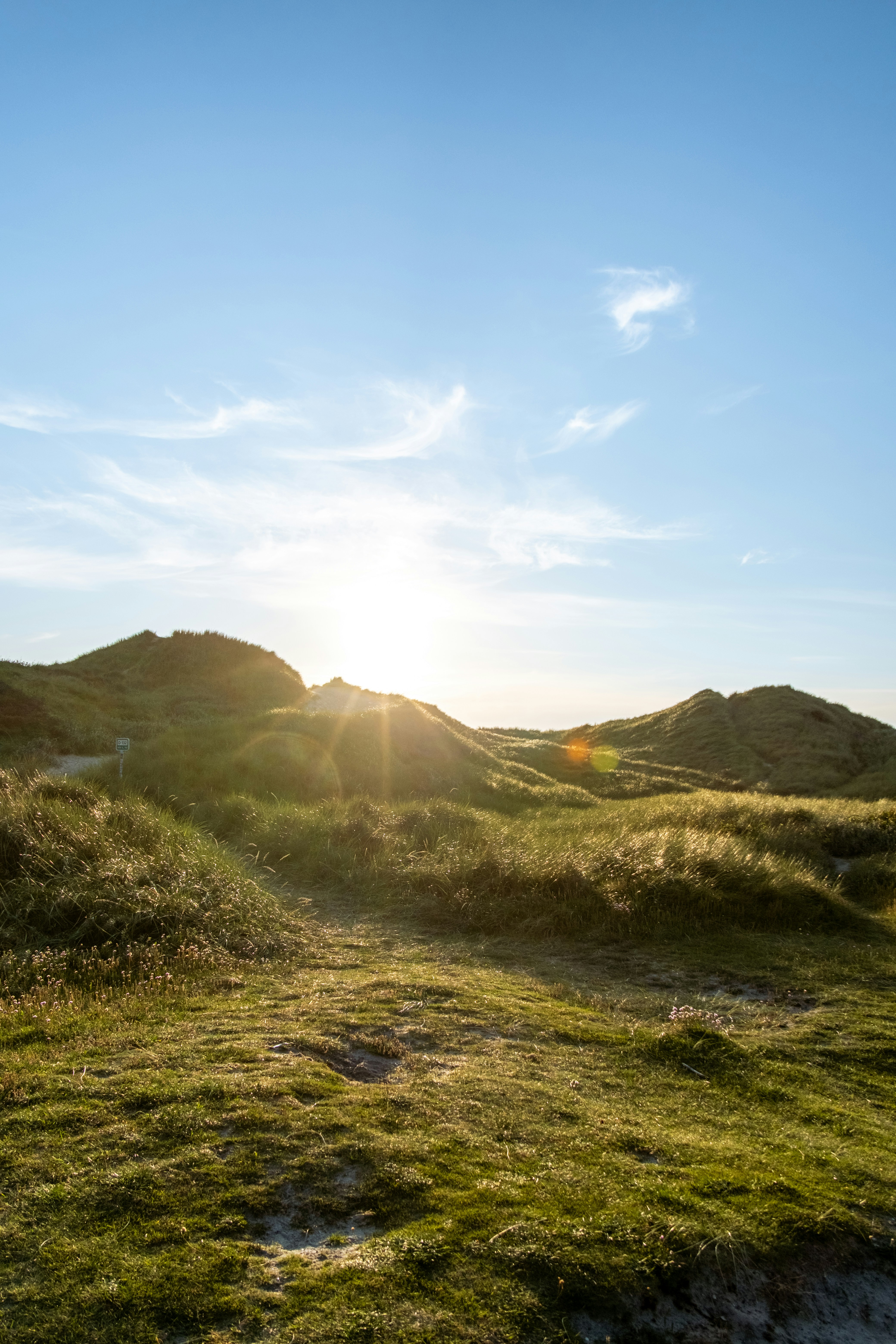 Dune Crest at Sunrise: Quiet Light Over the Grasses