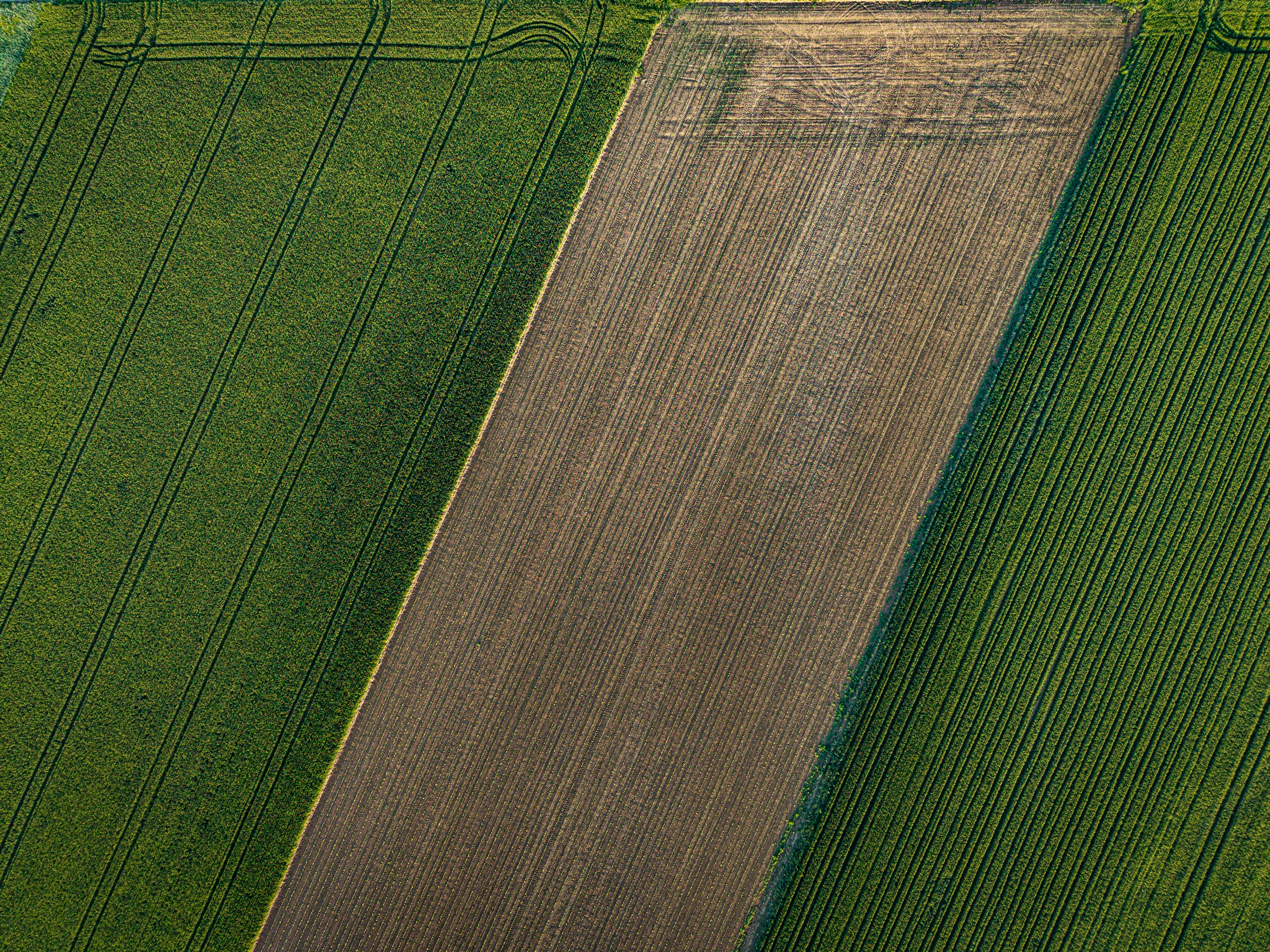 Triangular Patchwork: Aerial View of Parallel Farmlands