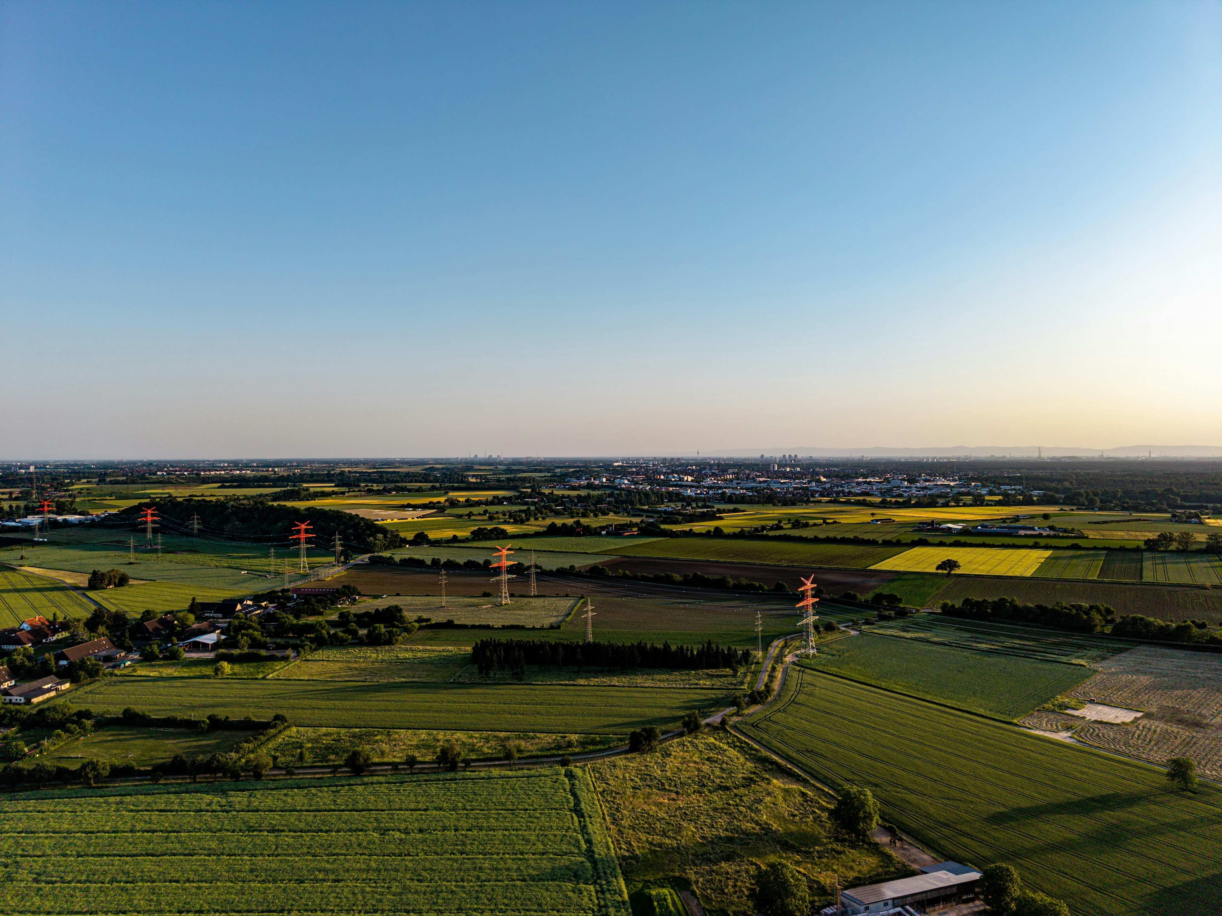 Sunlit Fields: A Quiet Panorama of Rural Geometry at Dusk