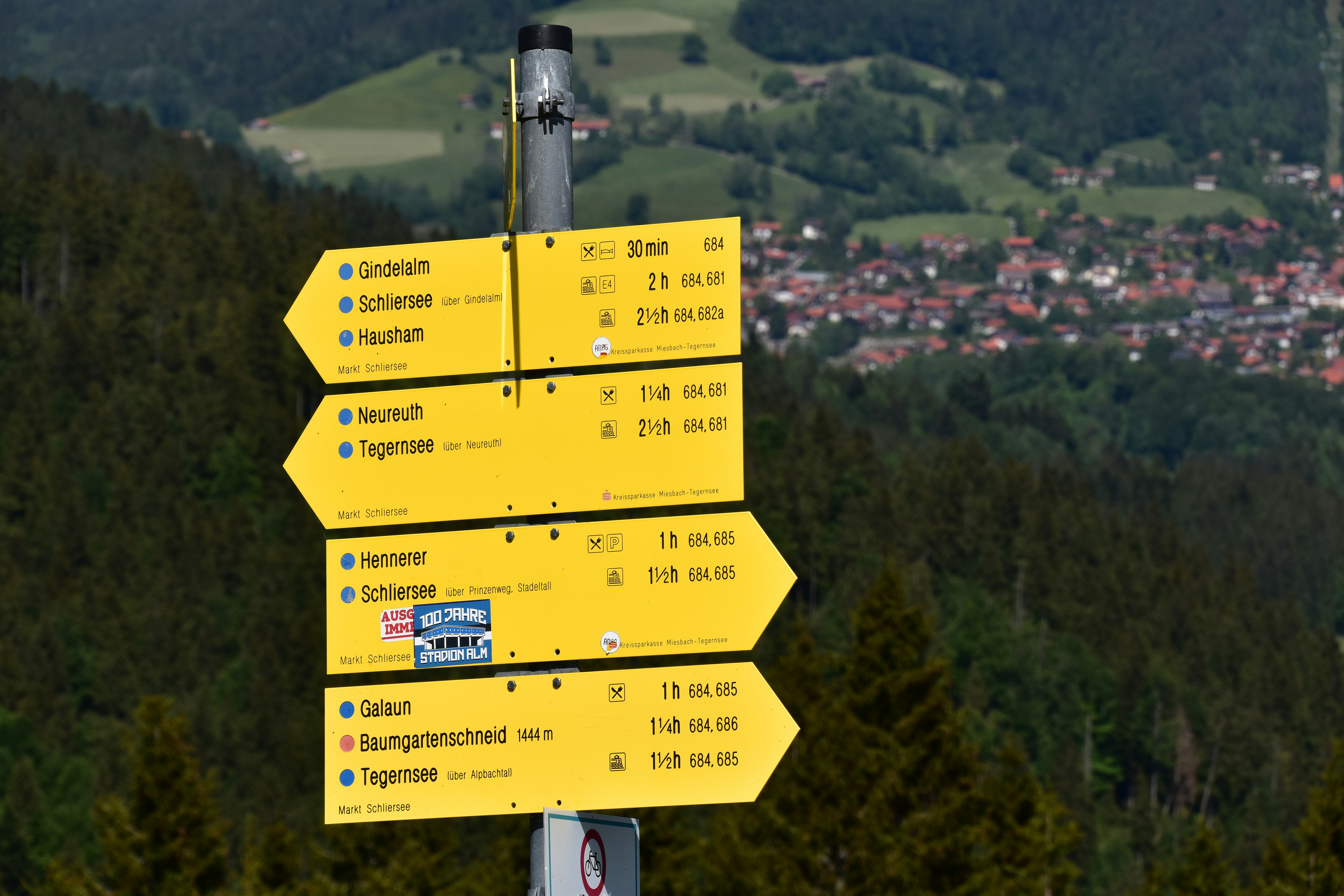 Yellow Signposts in Alpine Vista