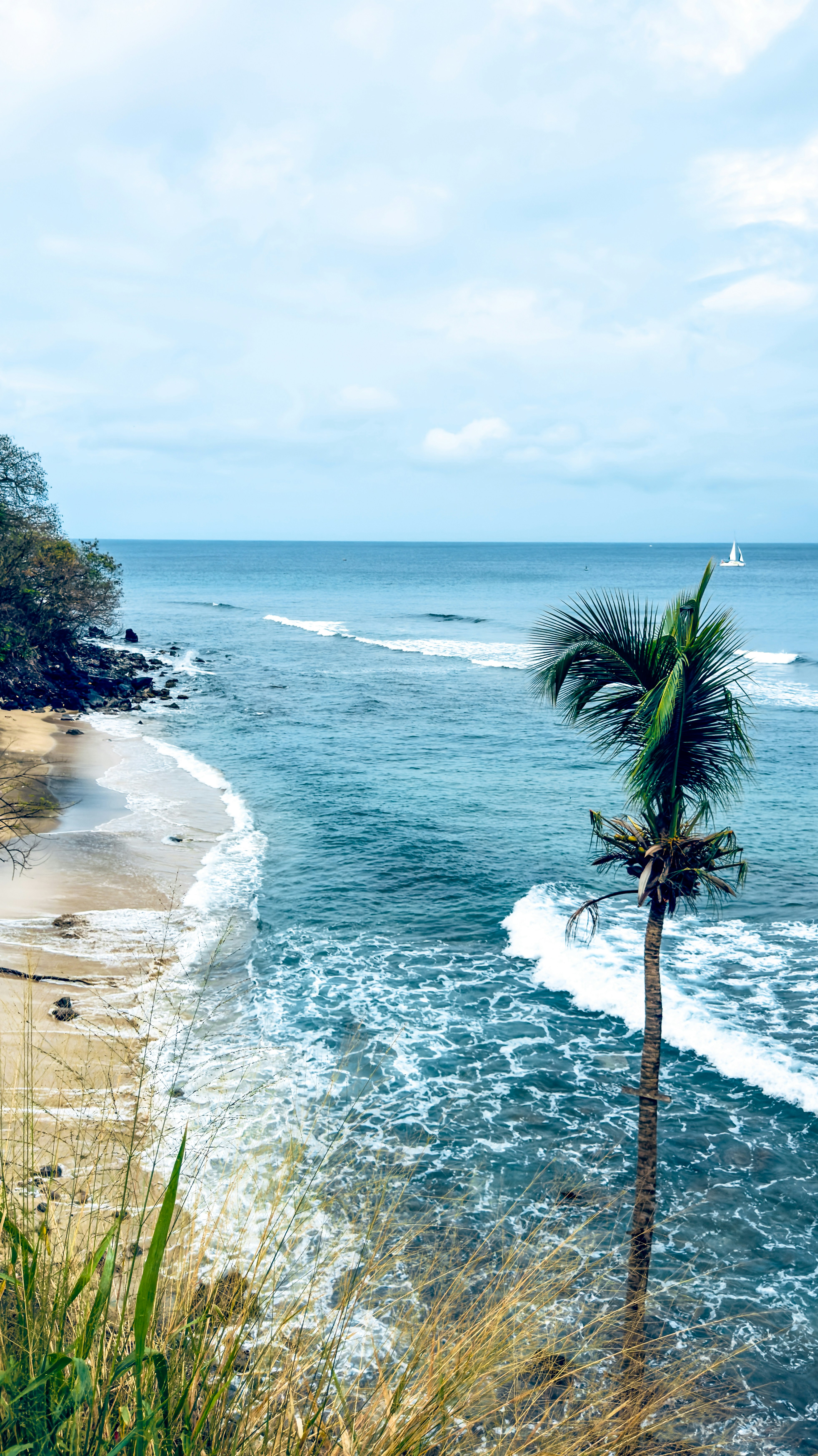 Coastal Terrace: Sea, Palm, and Sky